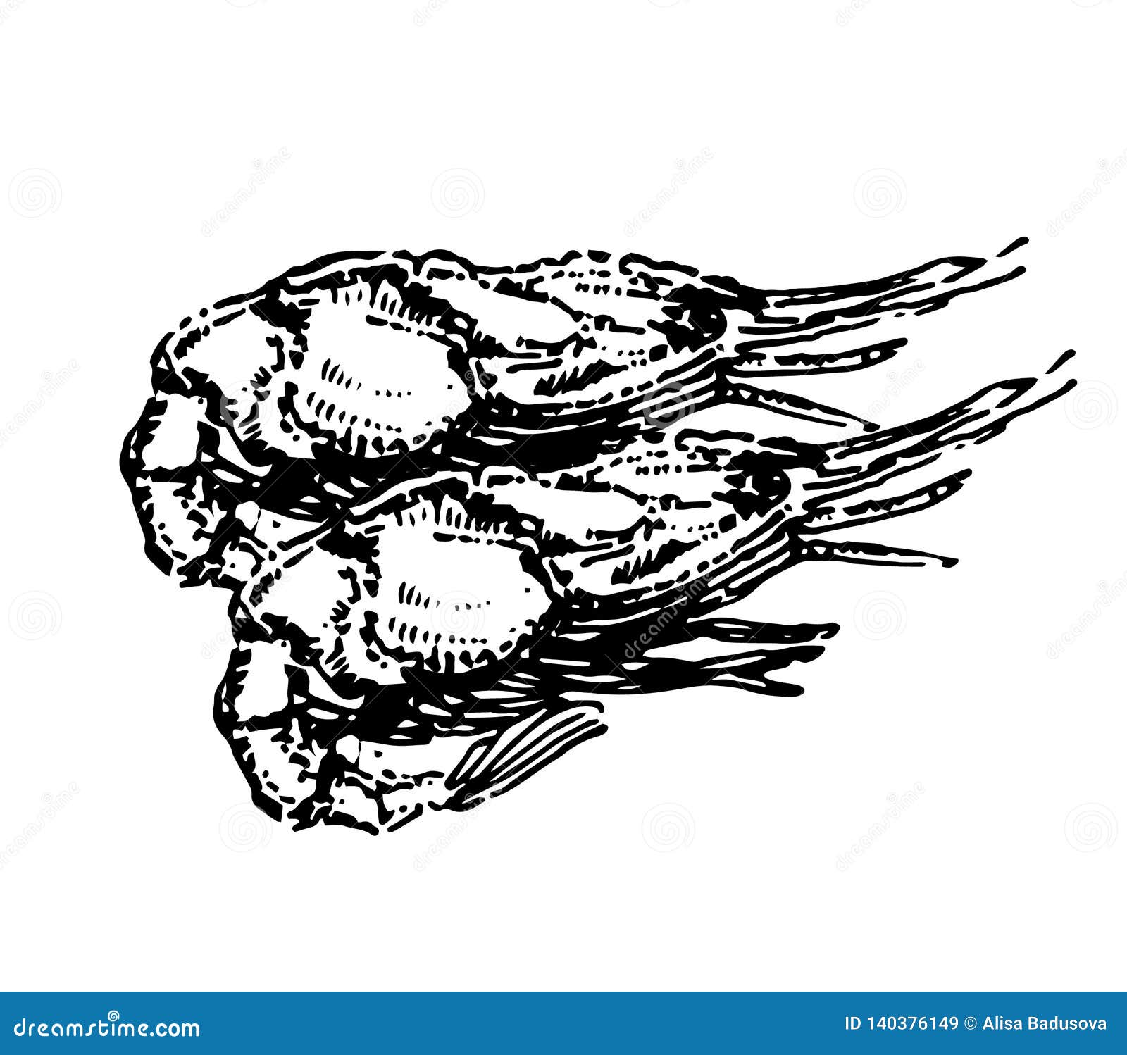 Shrimp Sea Food Hand Drawn Illustration Sketch Vector Stock Vector ... Shrimp Sea Food Hand Drawn Illustration Sketch Vector Stock Vector ...