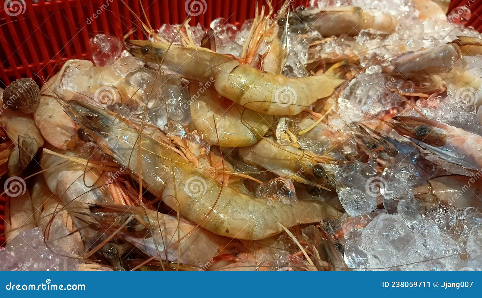 Shrimp Seafood Closeup Texture Ice Stock Image - Image of shrimp ...