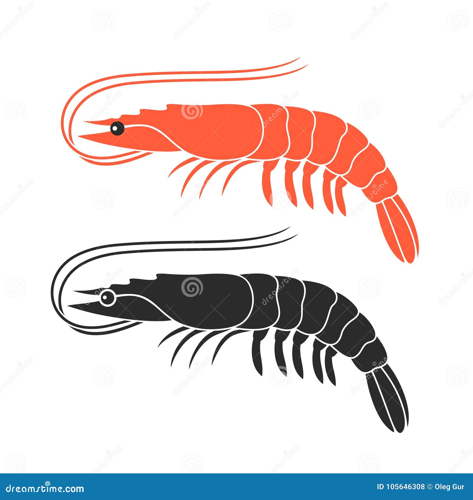 Shrimp Set. Isolated Shrimp on White Background Stock Vector ...