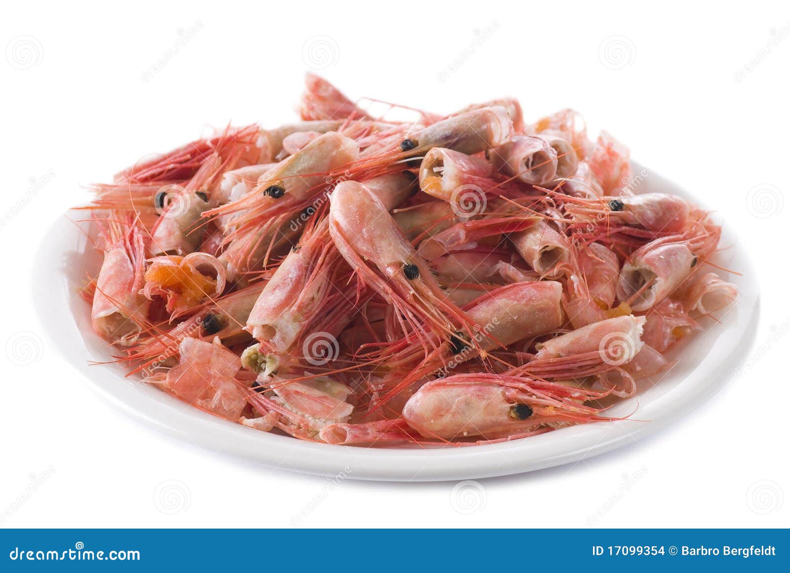 Shrimp Shells stock photo. Image of shrimp, shells, background - 17099354