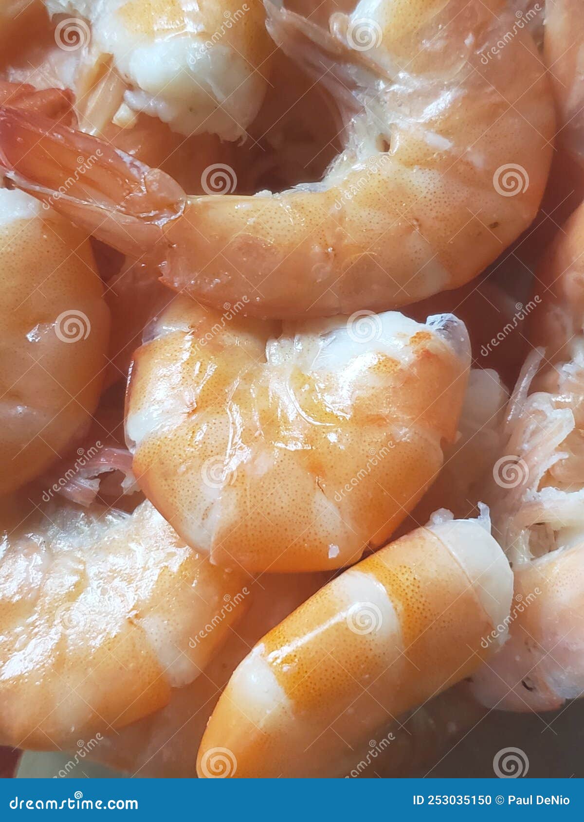 Shrimp with shells on stock photo. Image of dessert - 253035150