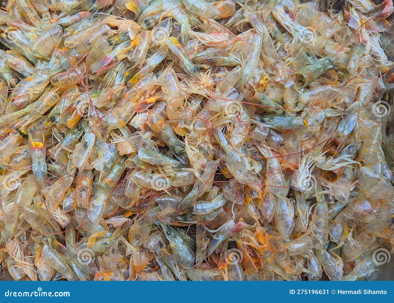 Shrimp Shells before Being Thrown into the Trash Will Be Given Hot ...