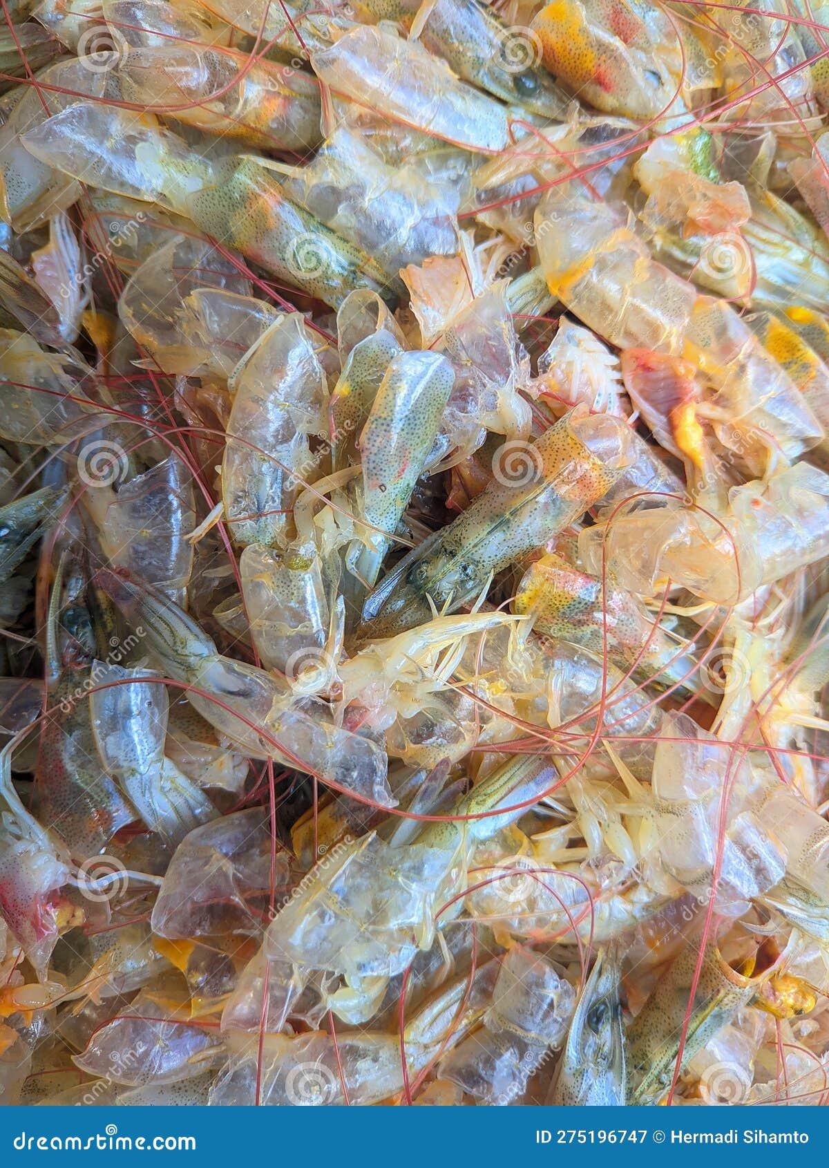 Shrimp Shells before Being Thrown into the Trash Will Be Given Hot ...
