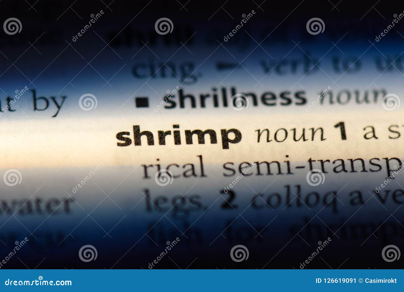 Shrimp stock image. Image of idea, writing, dictionary - 126619091