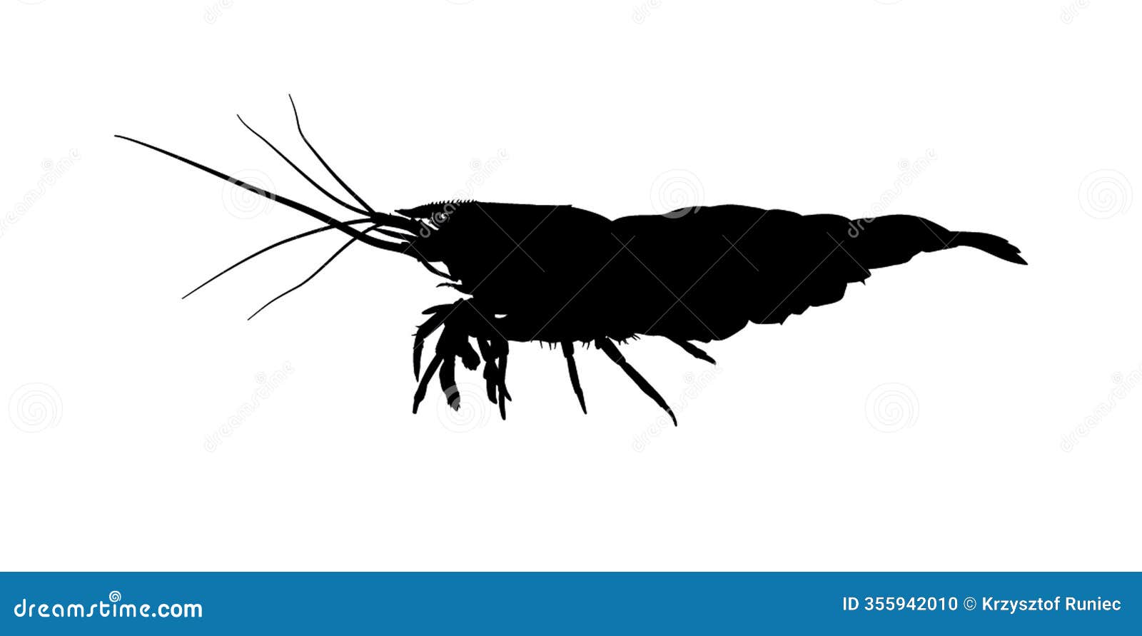 Shrimp Silhouette, Side View Stock Vector - Illustration of folds ...