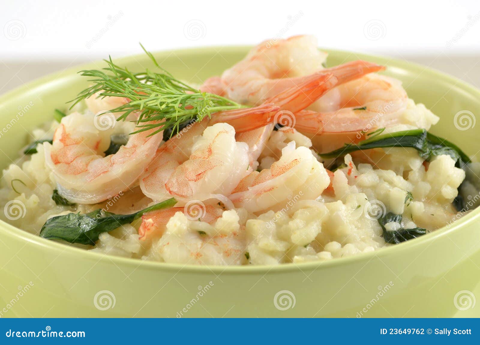 Shrimp and Spinach Risotto stock photo. Image of green - 23649762