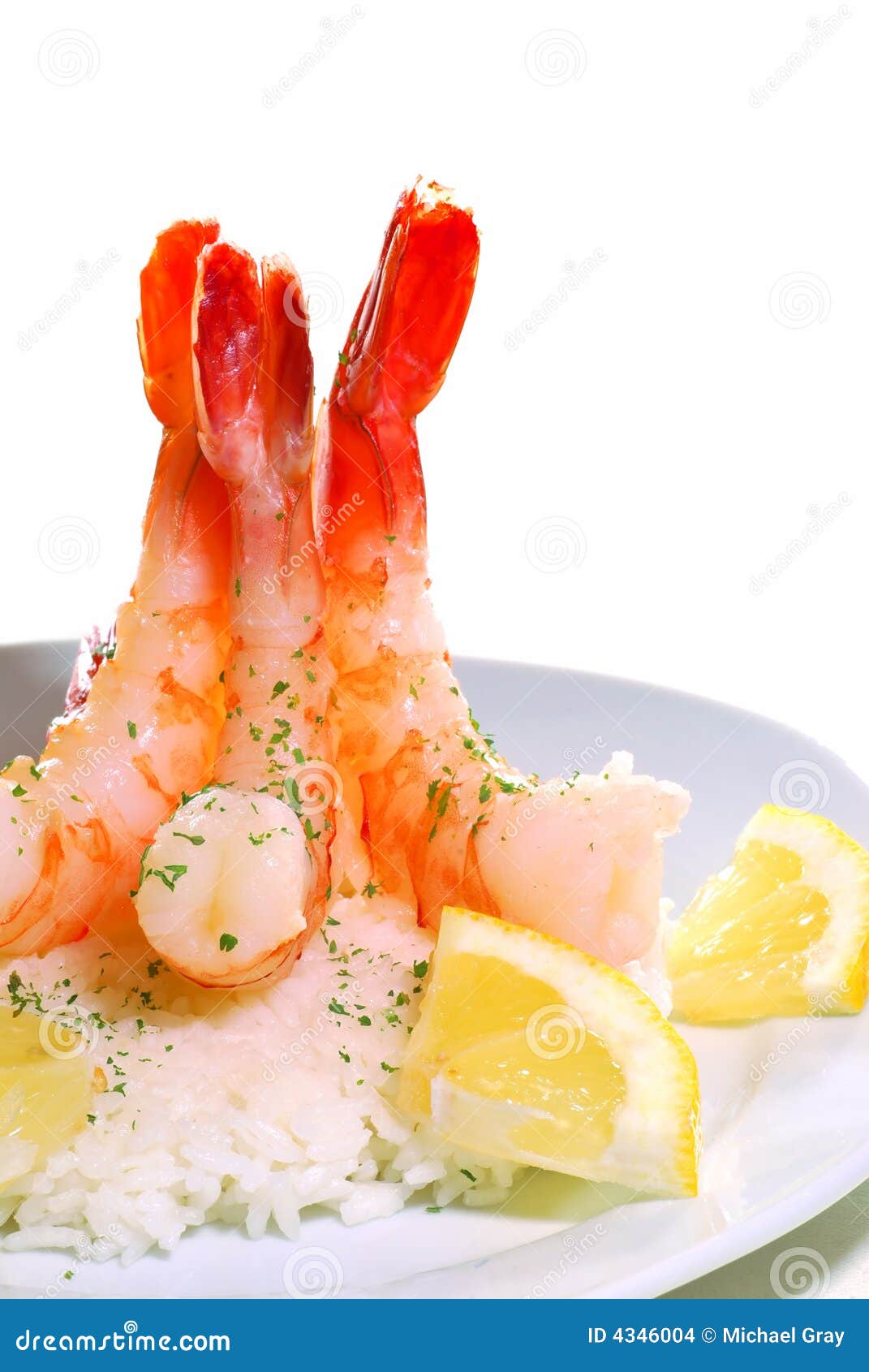 Shrimp standing on rice stock photo. Image of dish, shrimps - 4346004