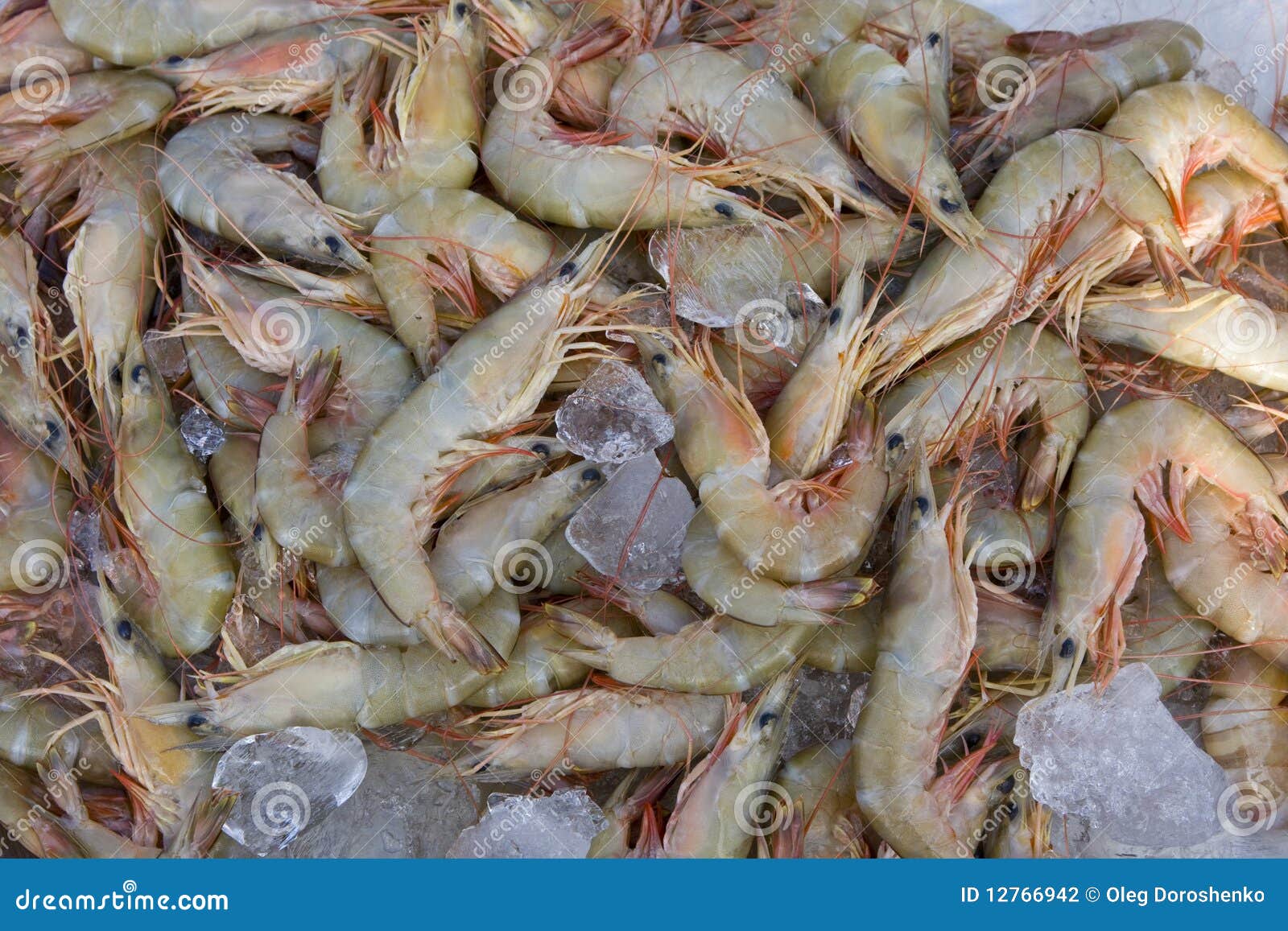 Shrimp stock stock photo. Image of restaurant, industry - 12766942
