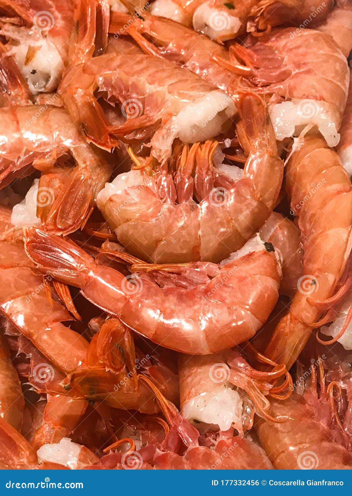 Shrimp Tails in a Fish Shop Stock Photo - Image of crustaceans ...