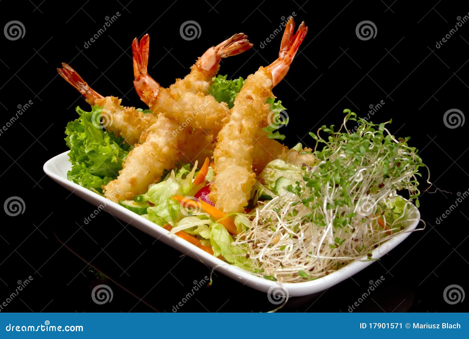 Shrimp Tempura stock image. Image of rice, sashimi, fresh - 17901571