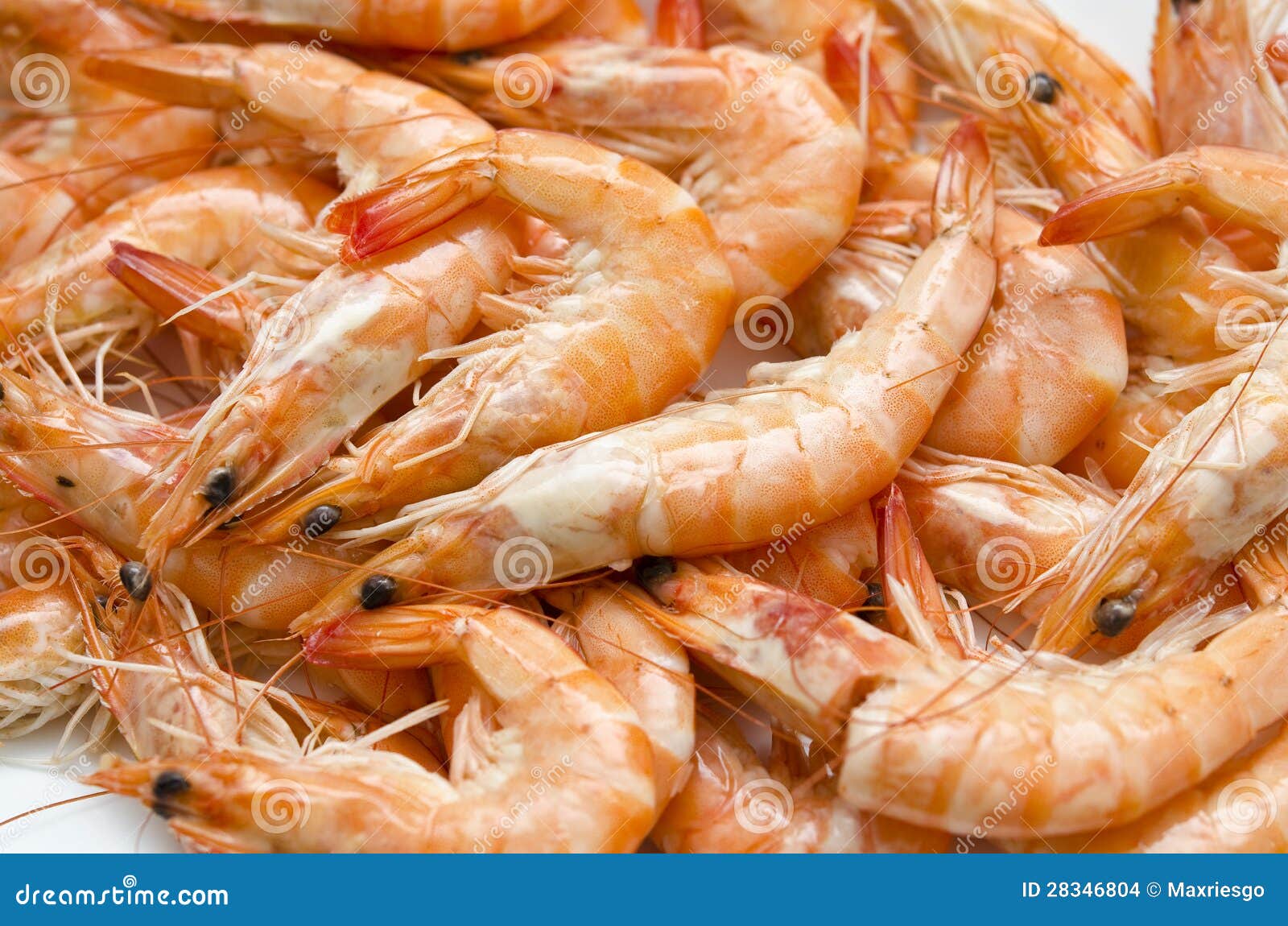 Shrimp texture stock photo. Image of rasher, restaurant - 28346804
