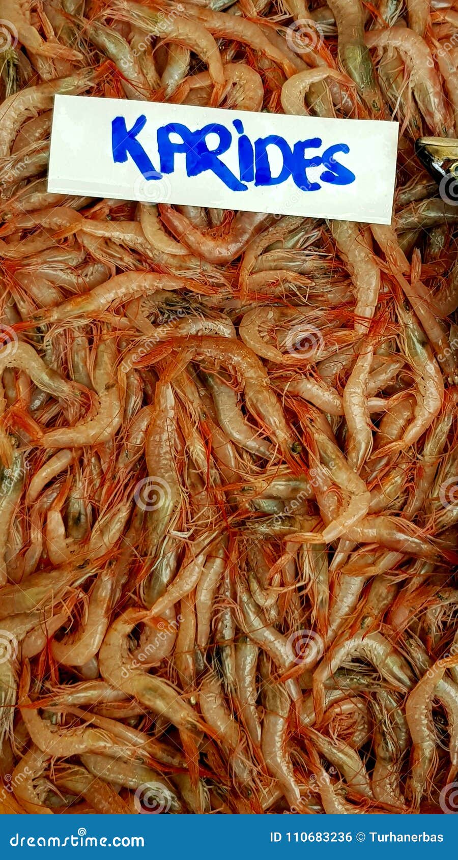 Shrimp in Turkish stock photo. Image of fish, meal, meat - 110683236