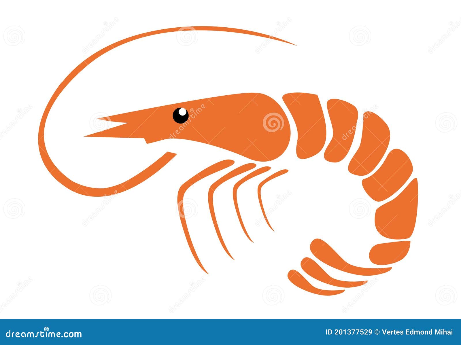Shrimp. Vector Drawing | CartoonDealer.com #72844852
