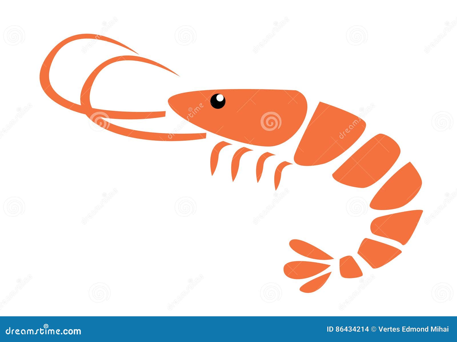 Shrimp. Vector Illustration In Flat Style With Grain Texture ...