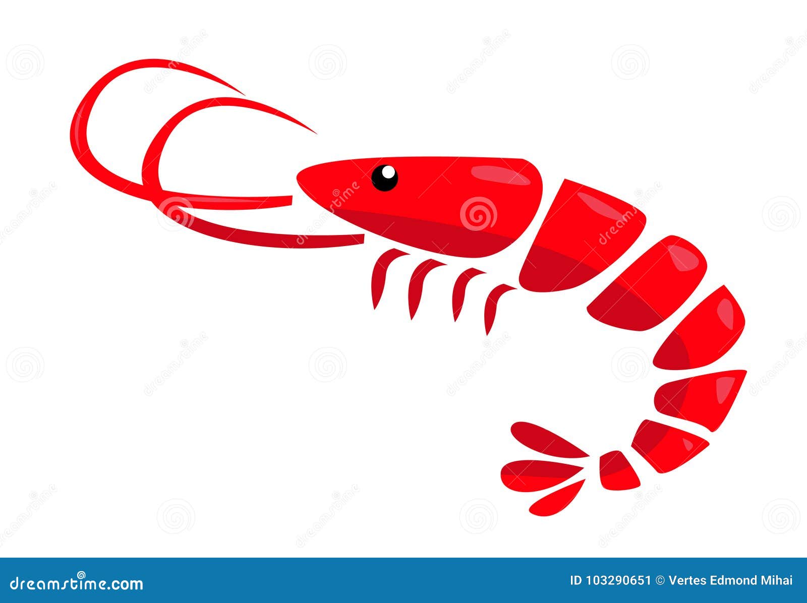 Shrimp. Vector Drawing | CartoonDealer.com #73291792
