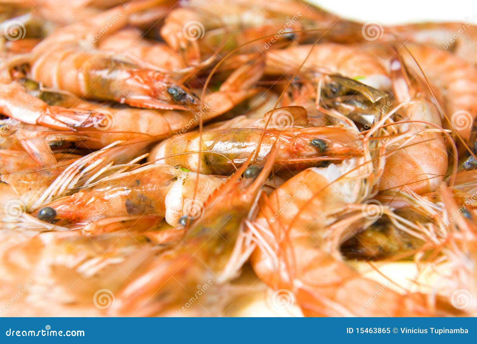 Shrimps stock image. Image of crustaceans, cooked, delicious - 15463865