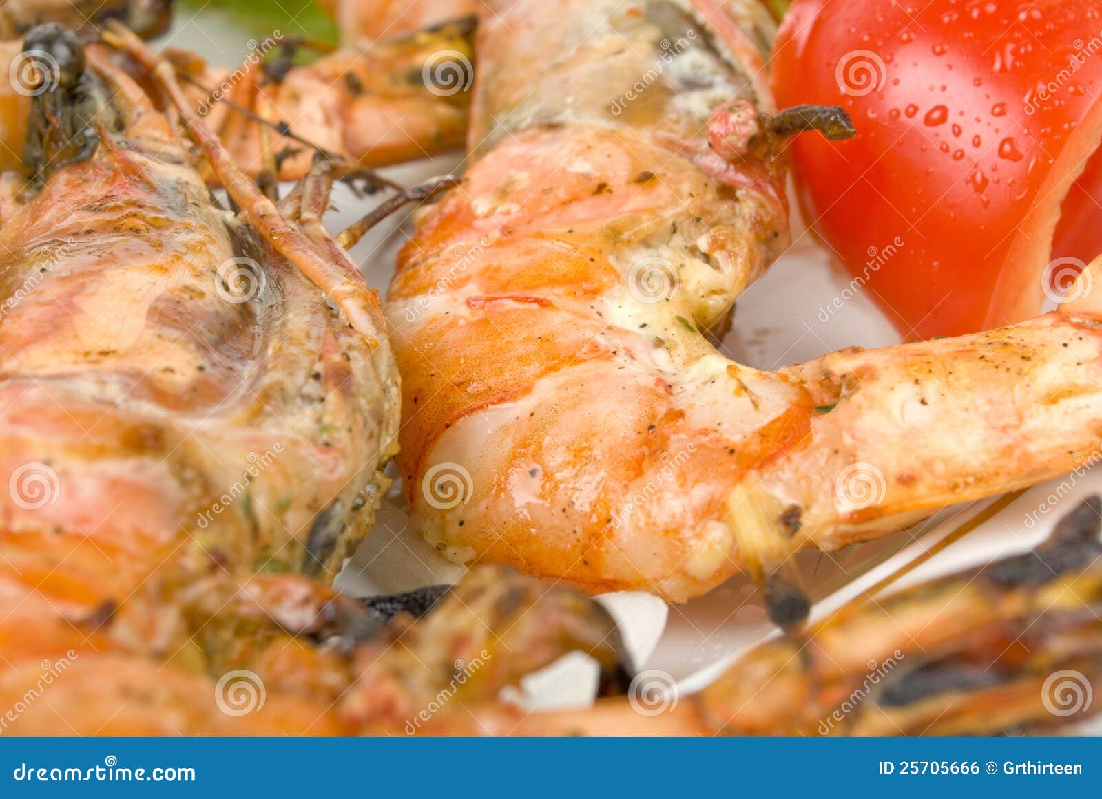 Shrimps stock photo. Image of seashell, protein, food - 25705666