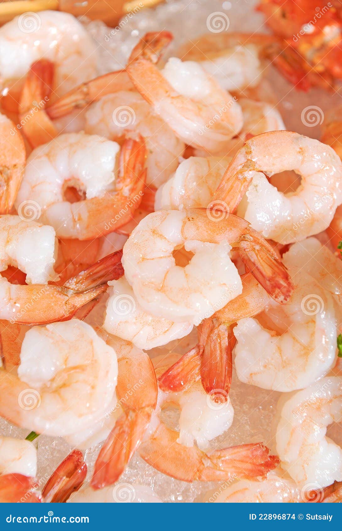 Shrimps close-up stock photo. Image of grill, full, closeup - 22896874