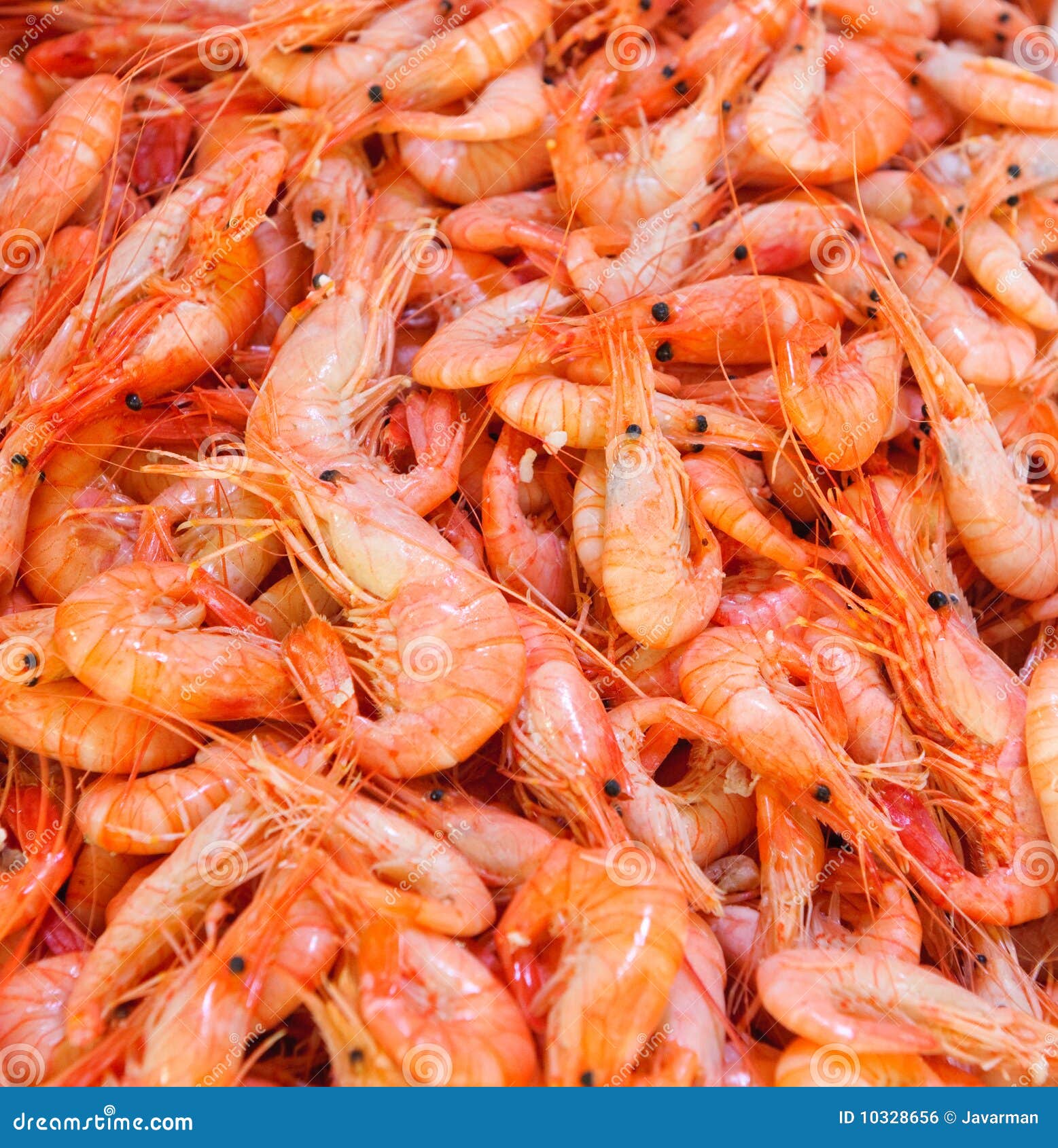 Shrimps at fishmarket stock photo. Image of fishing, market - 10328656