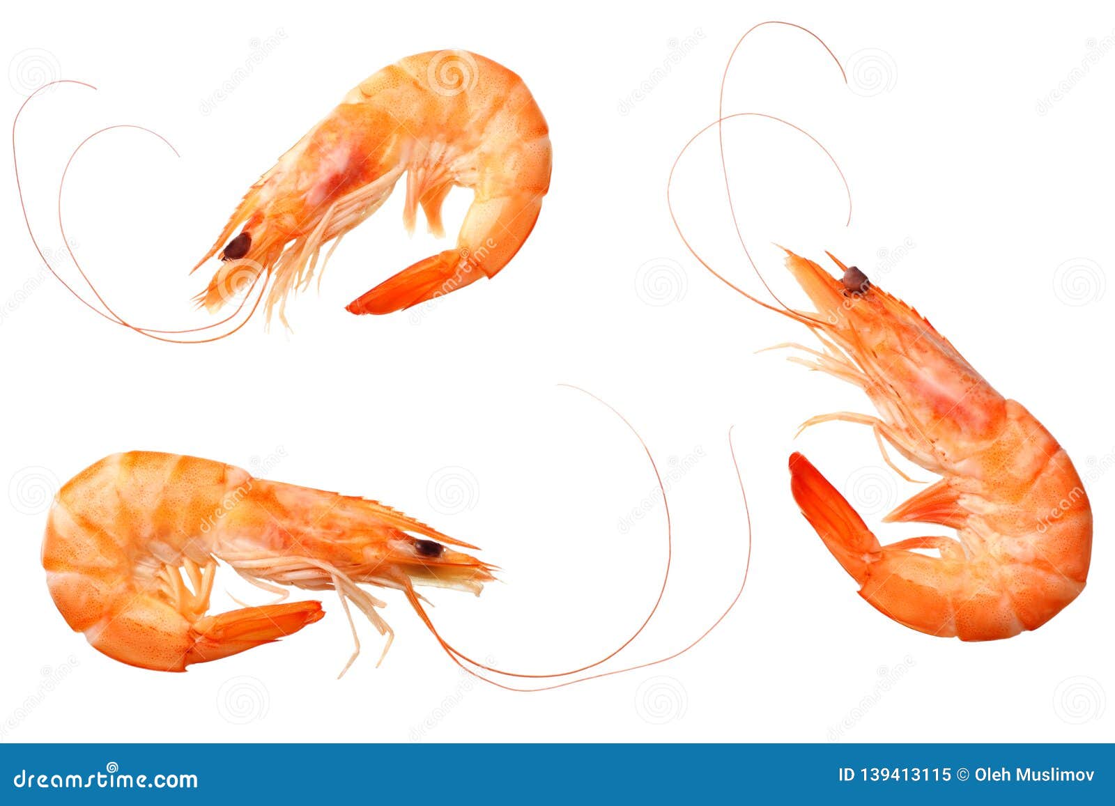 Shrimps Isolated on a White Background. Top View Stock Image - Image of ...