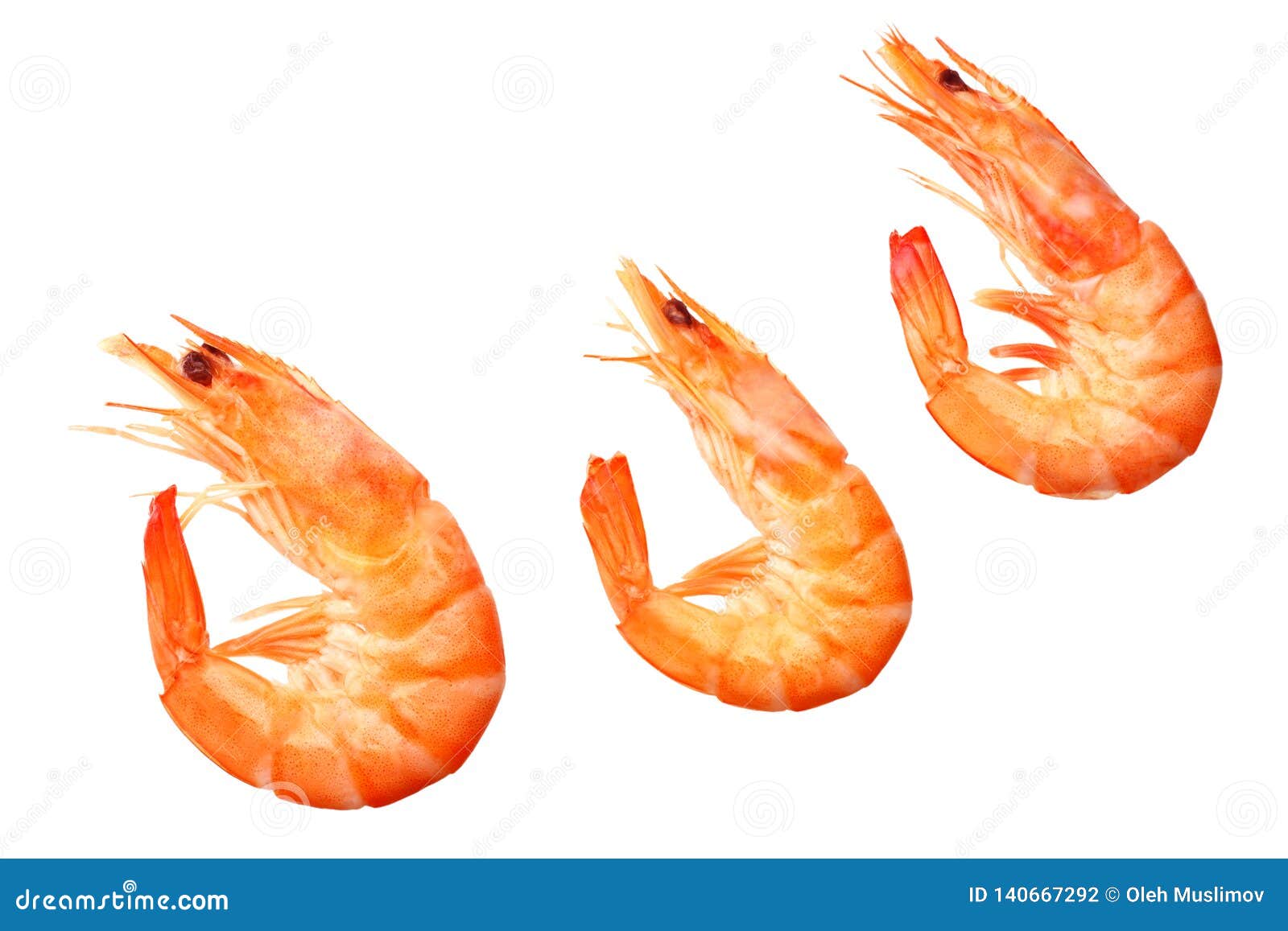 Shrimps Isolated on a White Background. Top View Stock Photo - Image of ...