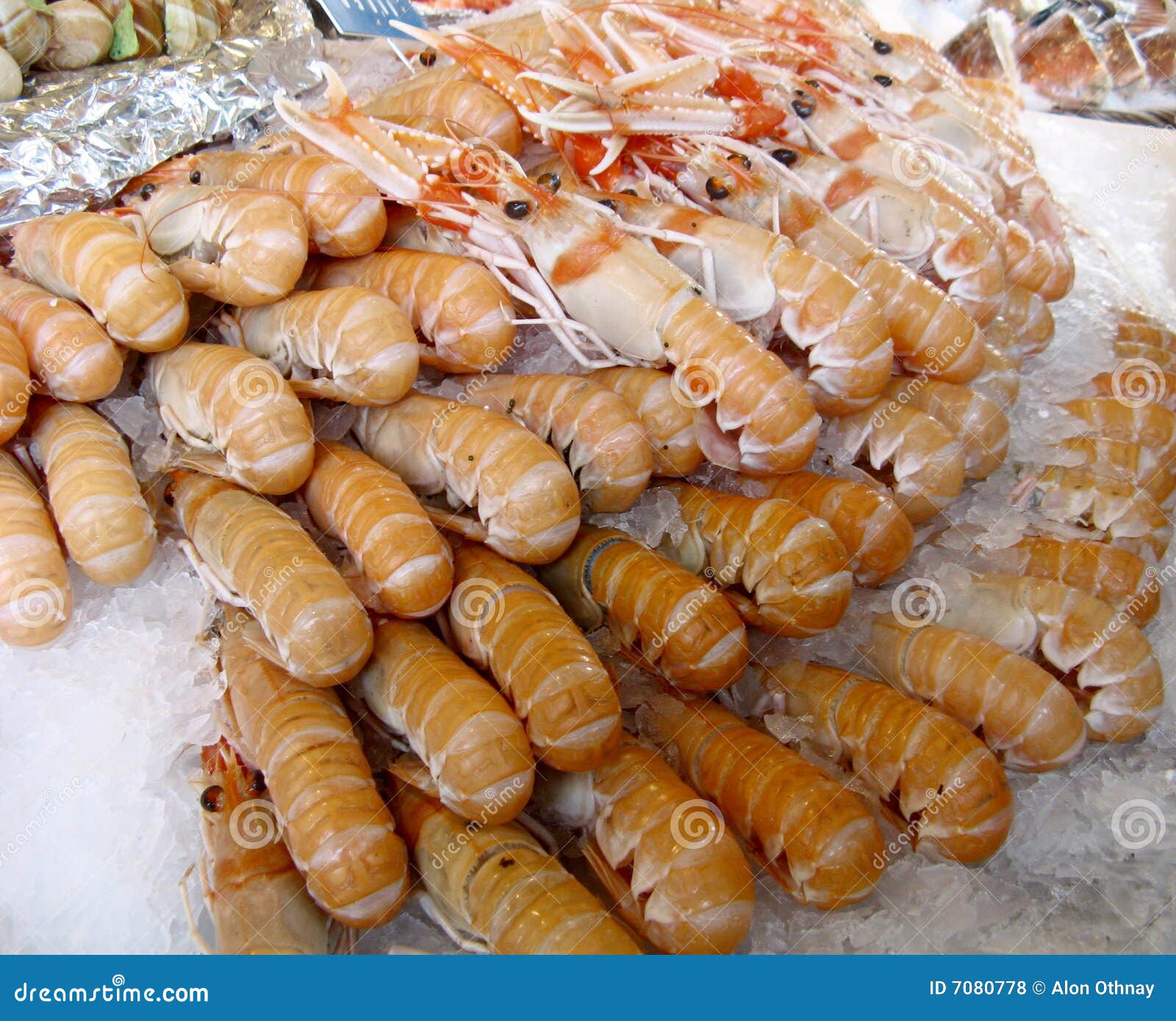 Shrimps in market stock photo. Image of farm, fishy, healthy - 7080778