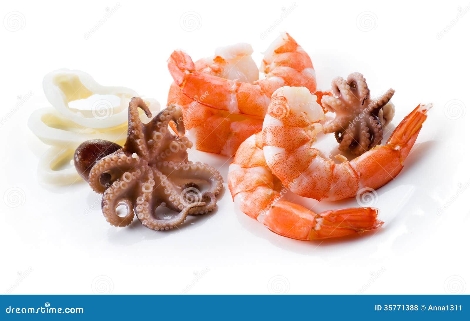 Shrimps, Octopus; and Squid. Seafood Isolated Stock Photo - Image of ...