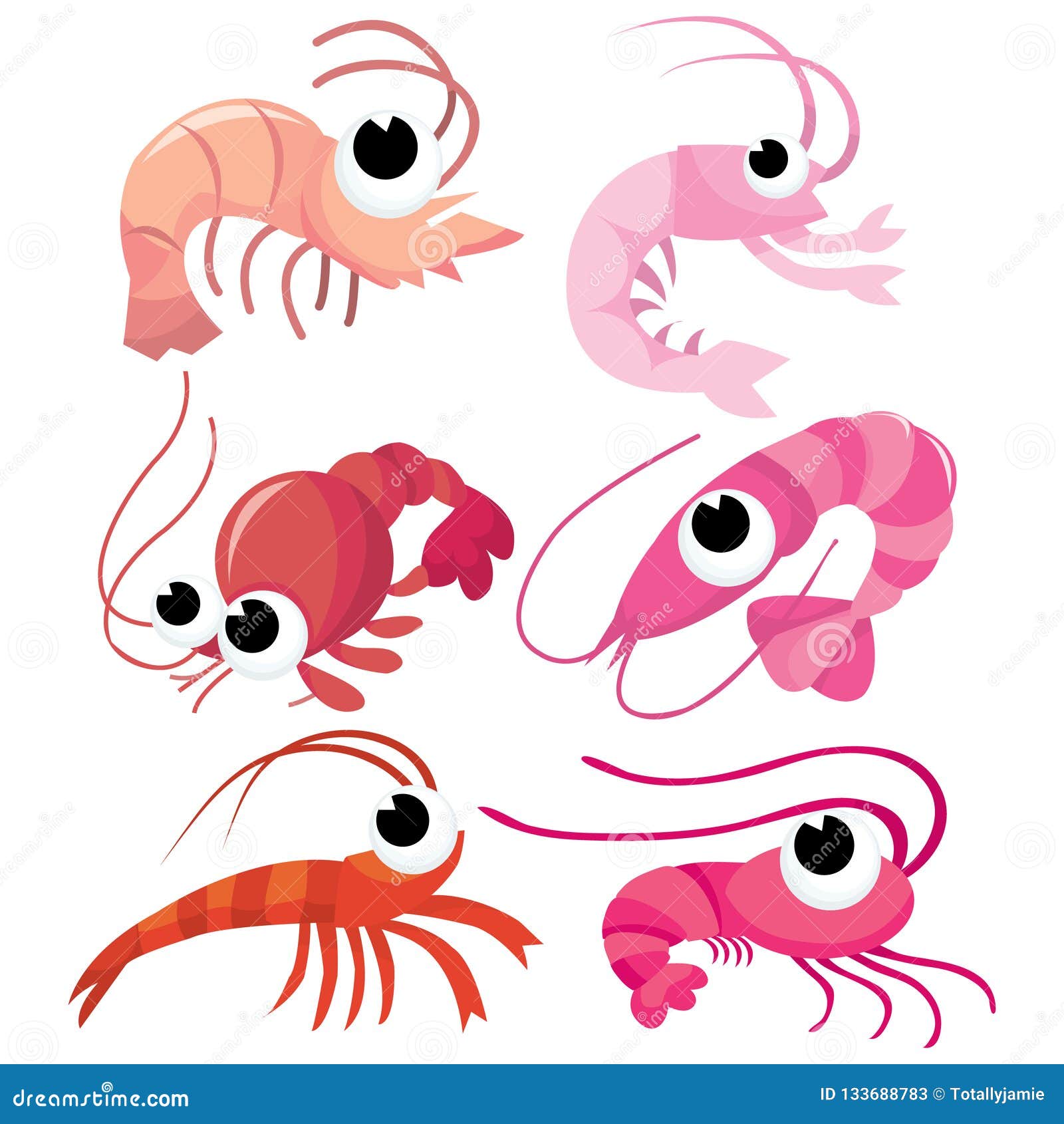 Shrimps & Prawns stock vector. Illustration of vector - 133688783