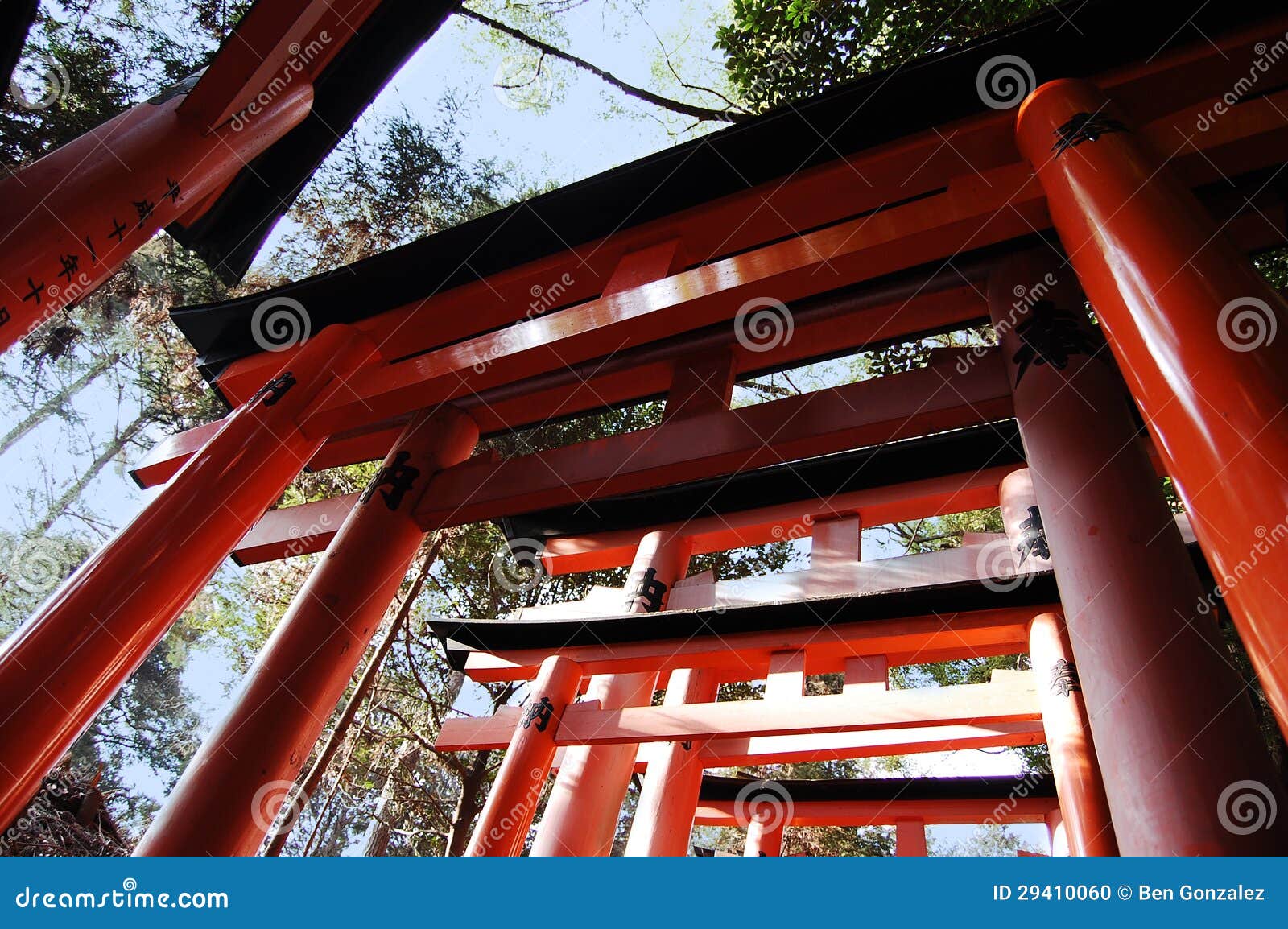 Shrine gates stock photo. Image of sightseeing, gate - 29410060