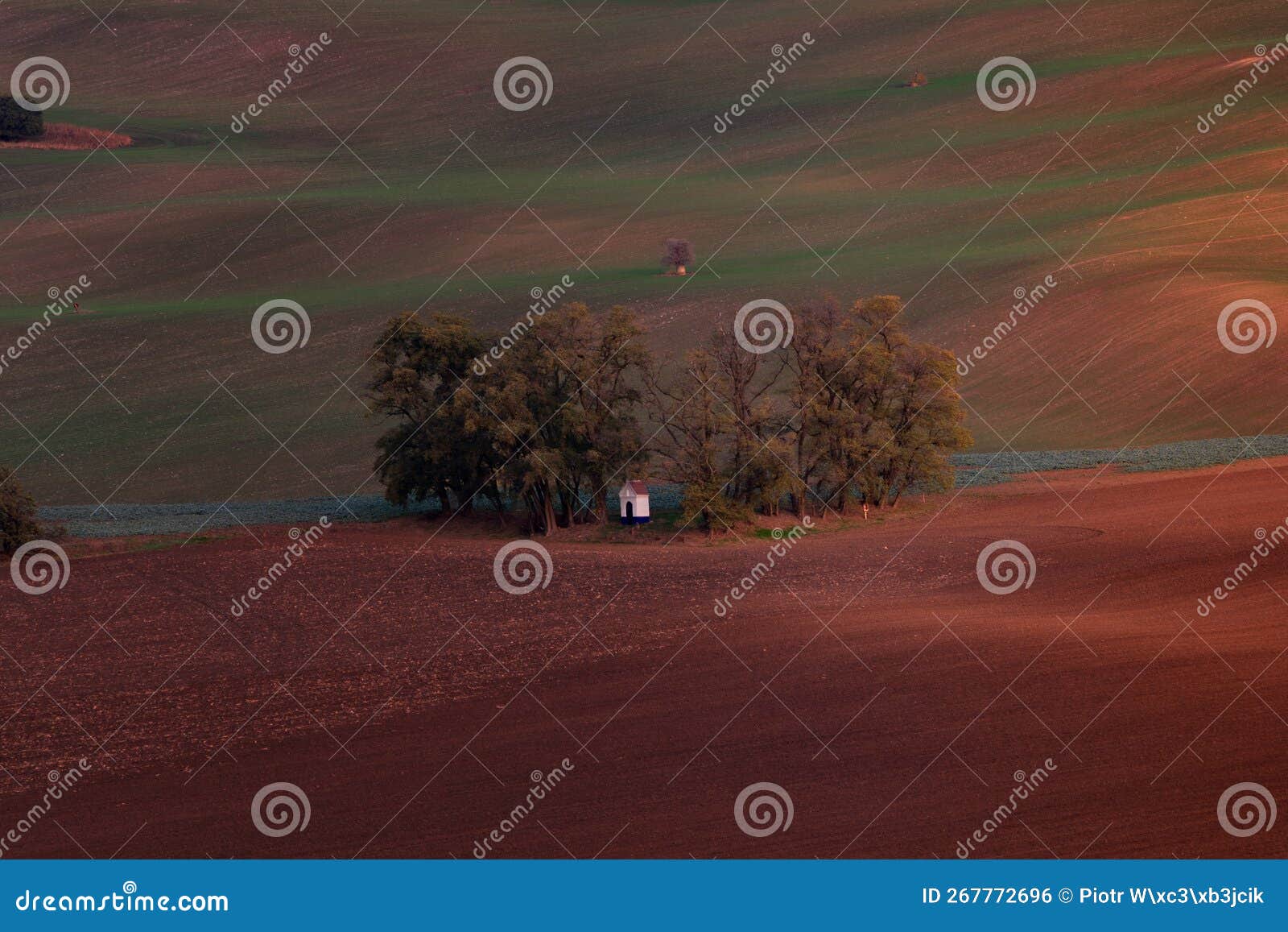 A Shrine Standing in a Grove in the Fields Stock Photo - Image of brown ...
