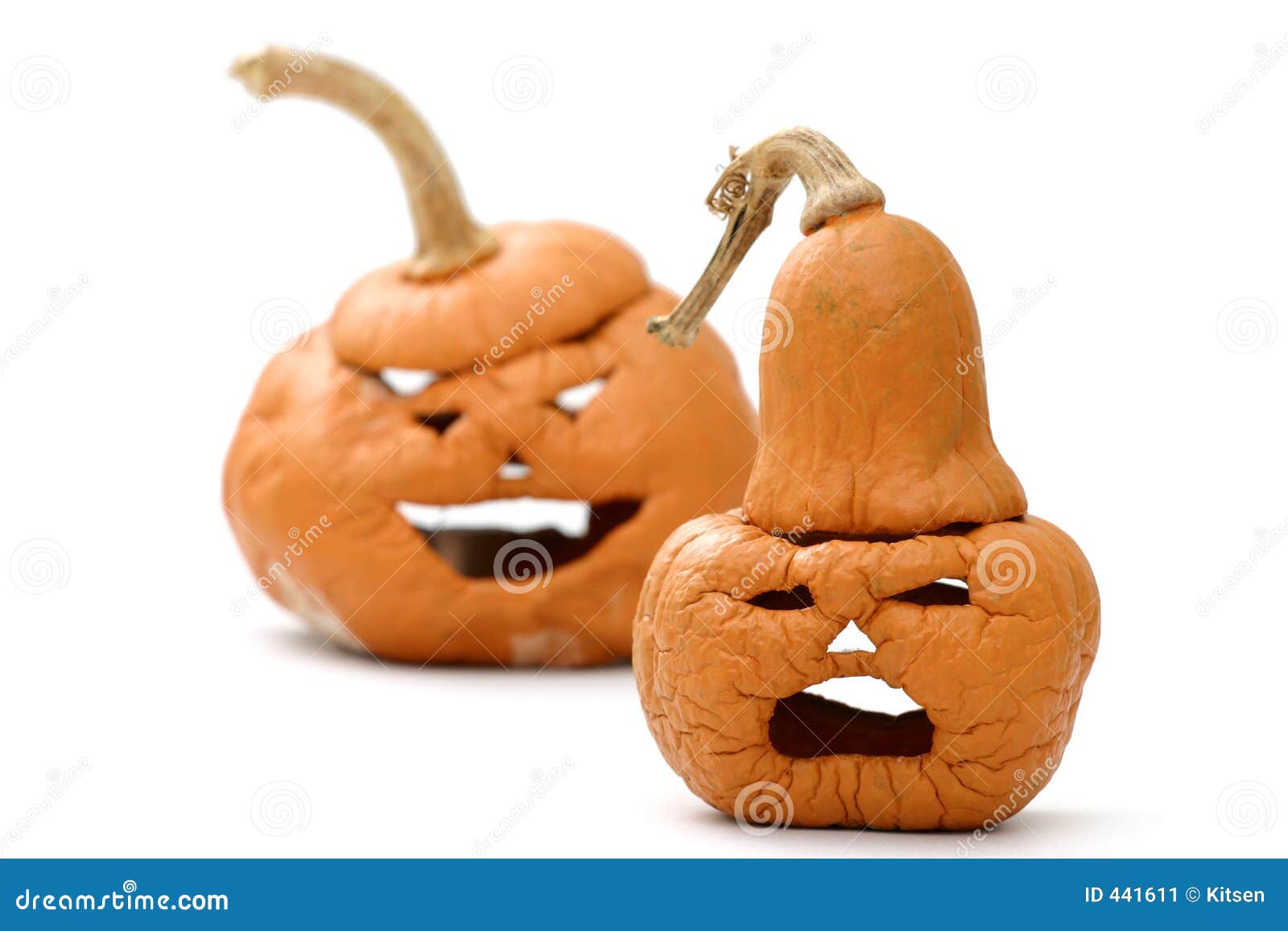 Shriveled pumpkins stock image. Image of fall, nature, gold - 441611