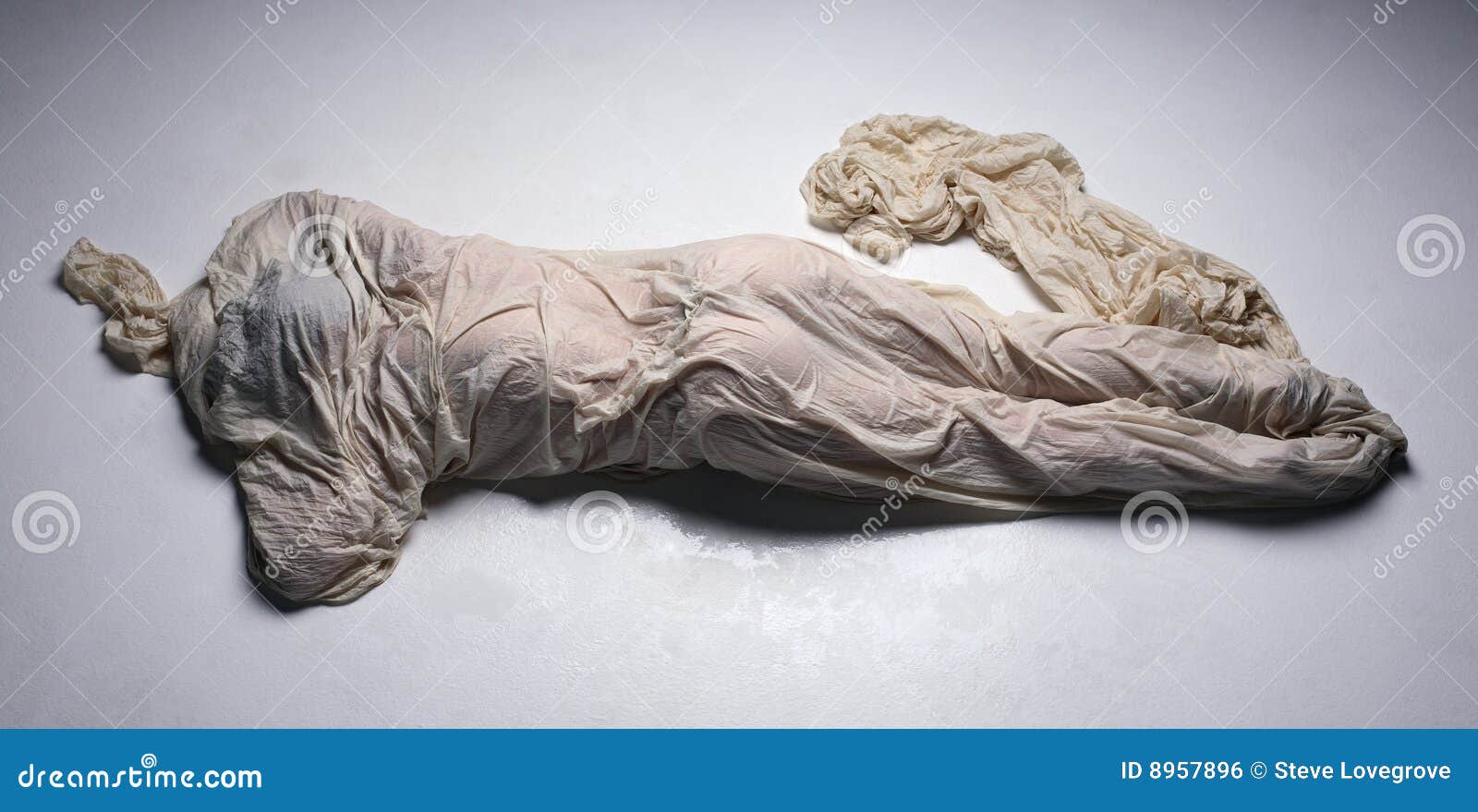 Shrouded Woman stock photo. Image of woman, covering, shroud - 8957896