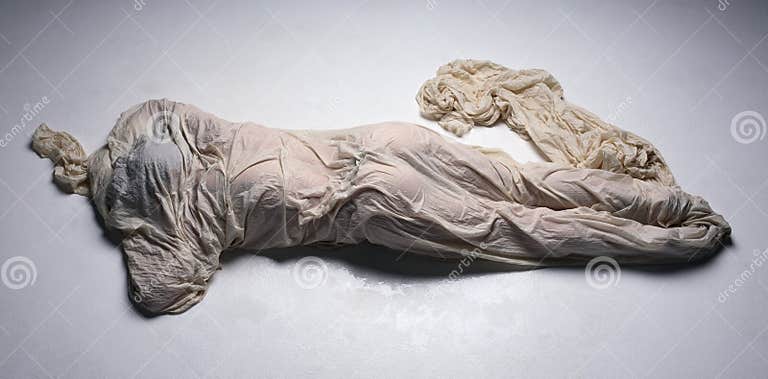 Shrouded Woman stock photo. Image of woman, covering, shroud - 8957896