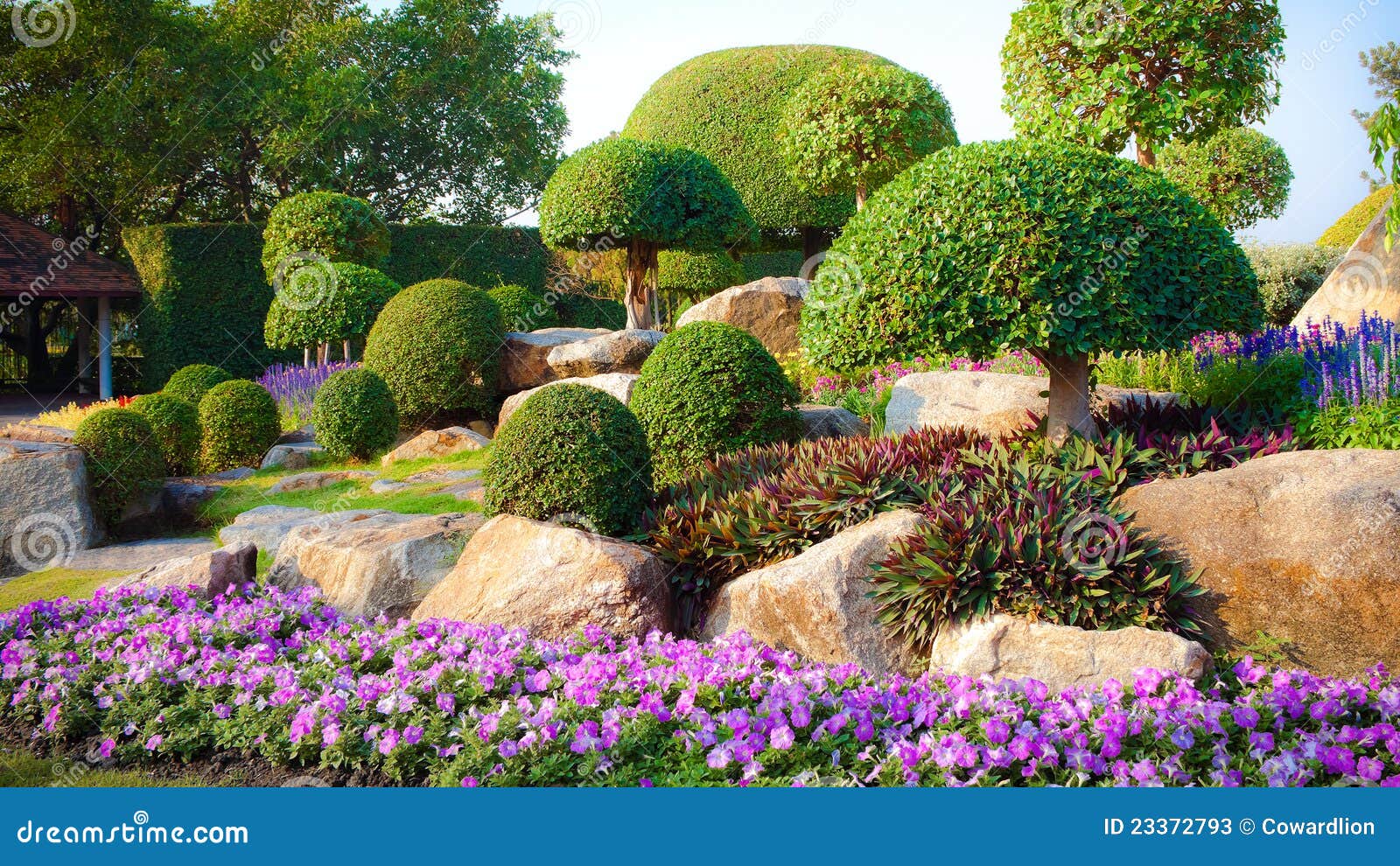 Shrub stock image. Image of beautiful, nature, field - 23372793