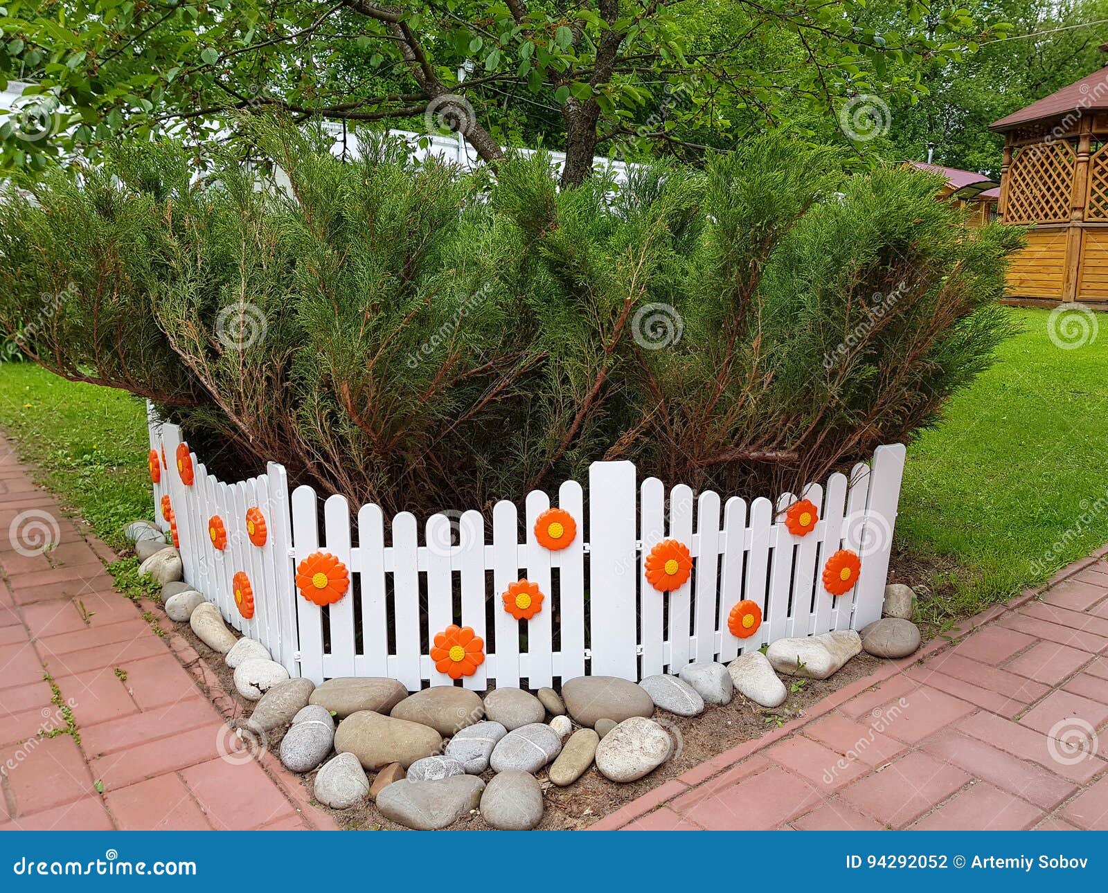 A Shrub of Decorative Juniper Behind a Decorative Fence Stock Photo ...