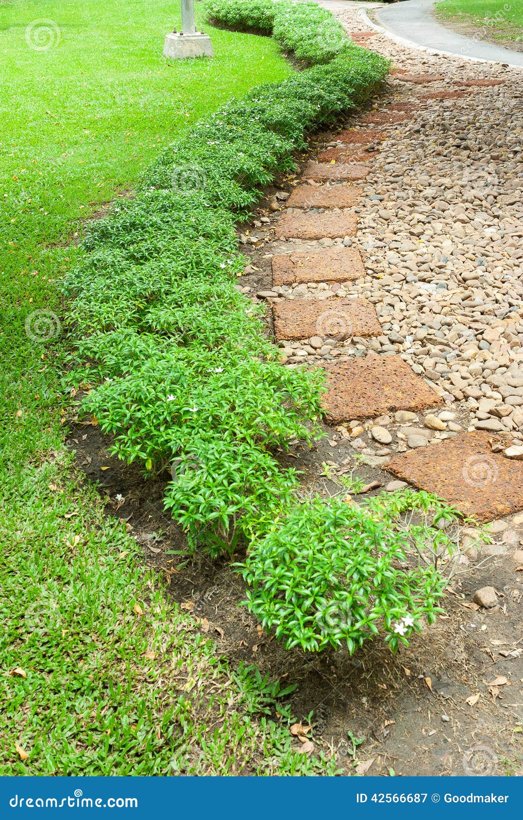 Shrub line stock image. Image of green, yard, brick, landscape - 42566687