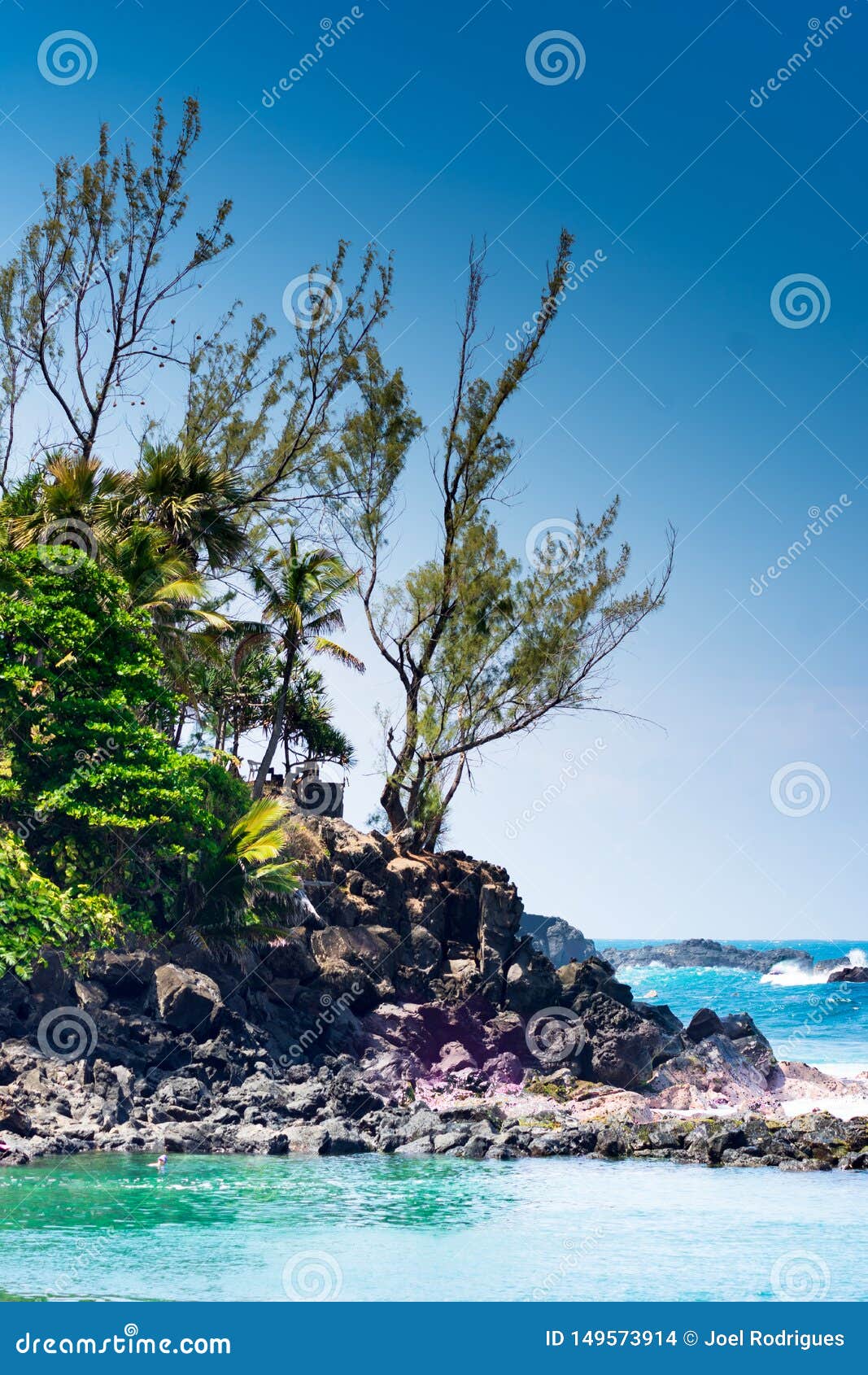 Shrub Overlooking Rocky Volcano Landscape Stock Photo - Image of ...