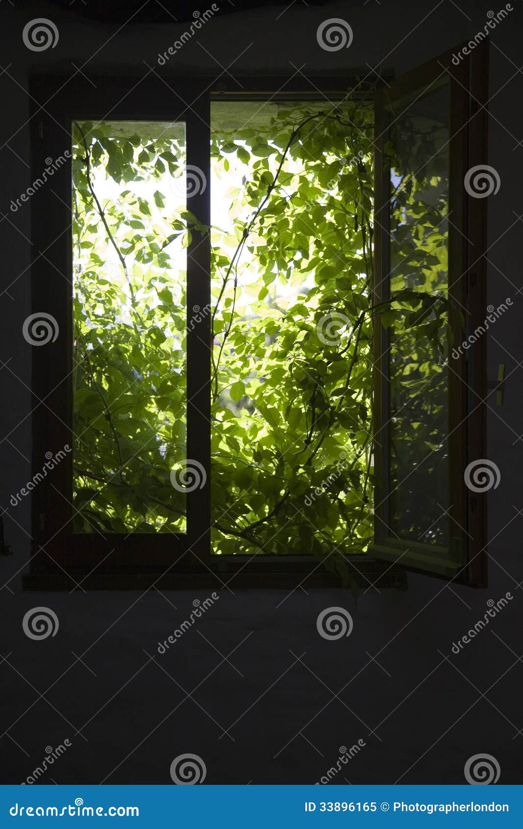 Shrubbery Behind Window stock image. Image of summerhouse - 33896165