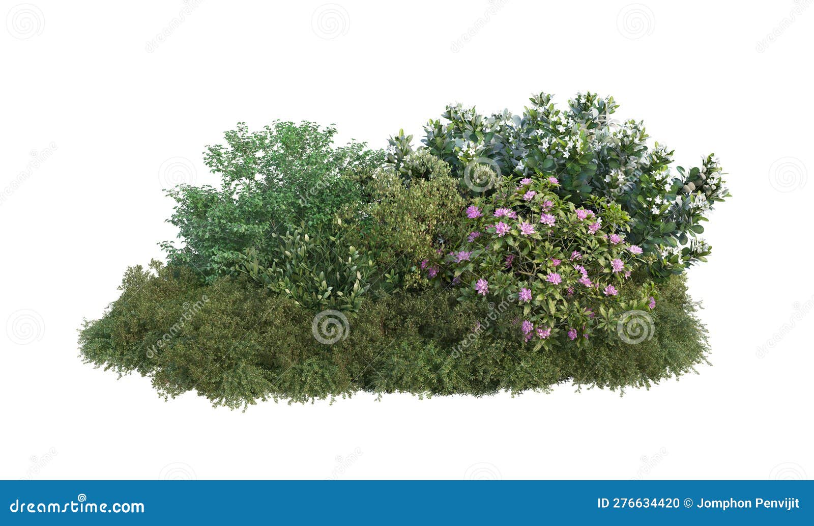 Shrubs and Flower on a White Background Stock Illustration ...