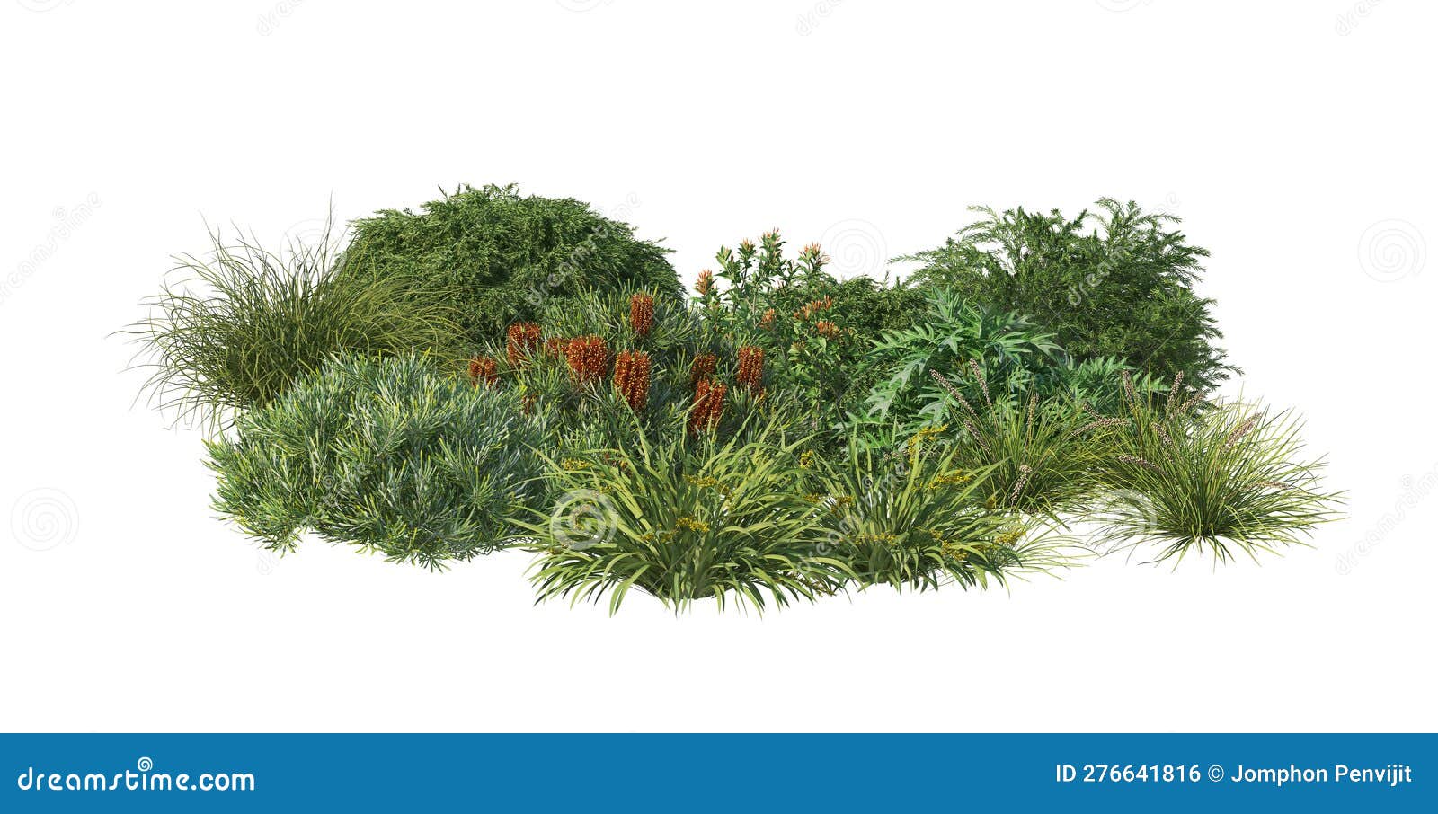 Shrubs and Flower on a White Background Stock Illustration ...