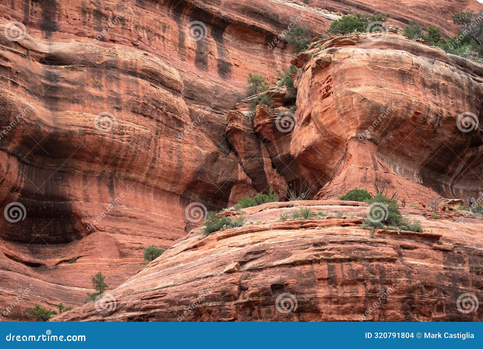 Shrubs Grow in Striated Sandstone in Arizona Stock Photo - Image of ...