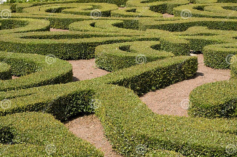 Shrubs Maze stock image. Image of pattern, daytme, nature - 5134383