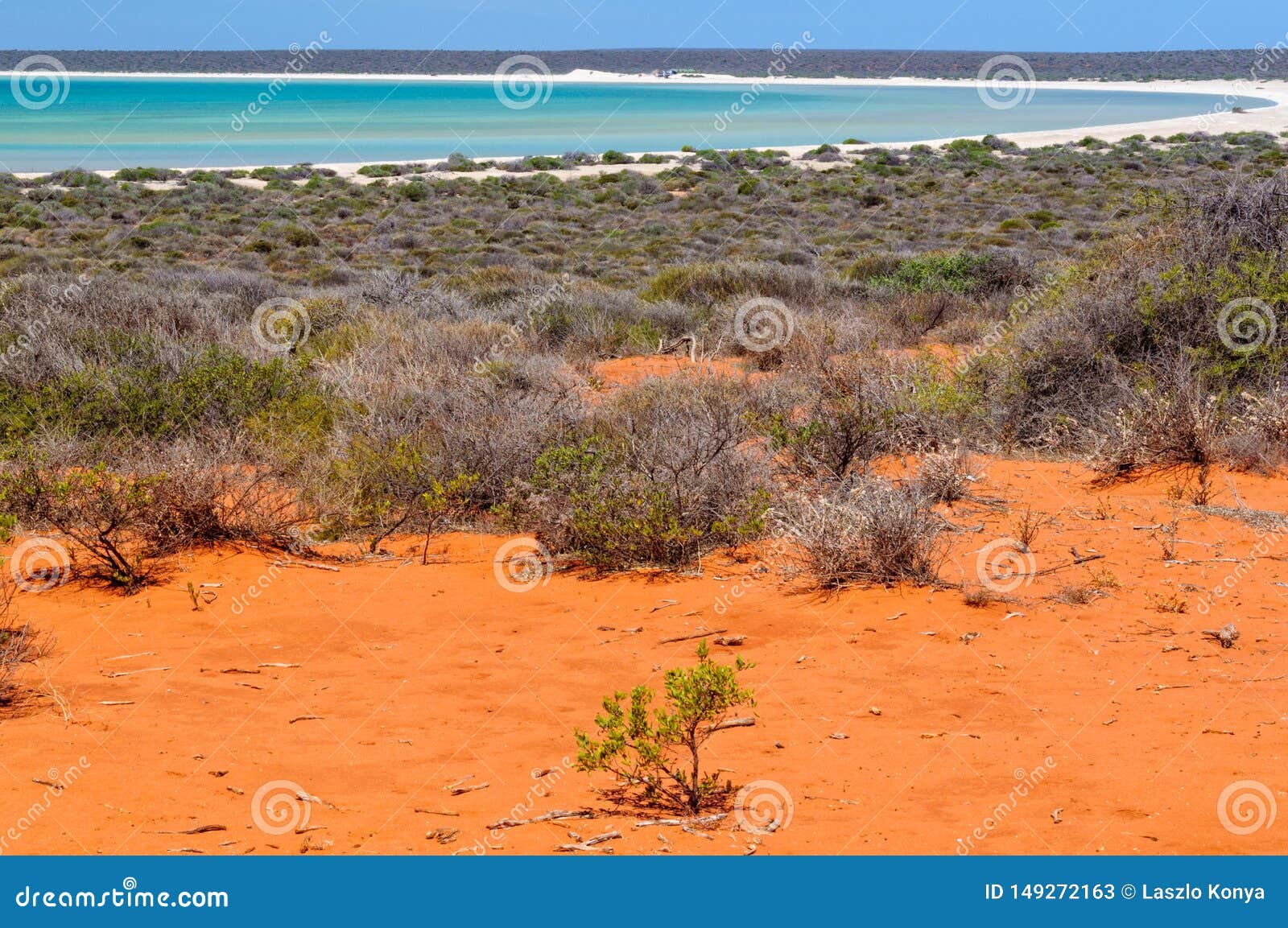 Shell Beach - Denham stock image. Image of blue, coastal - 149272163