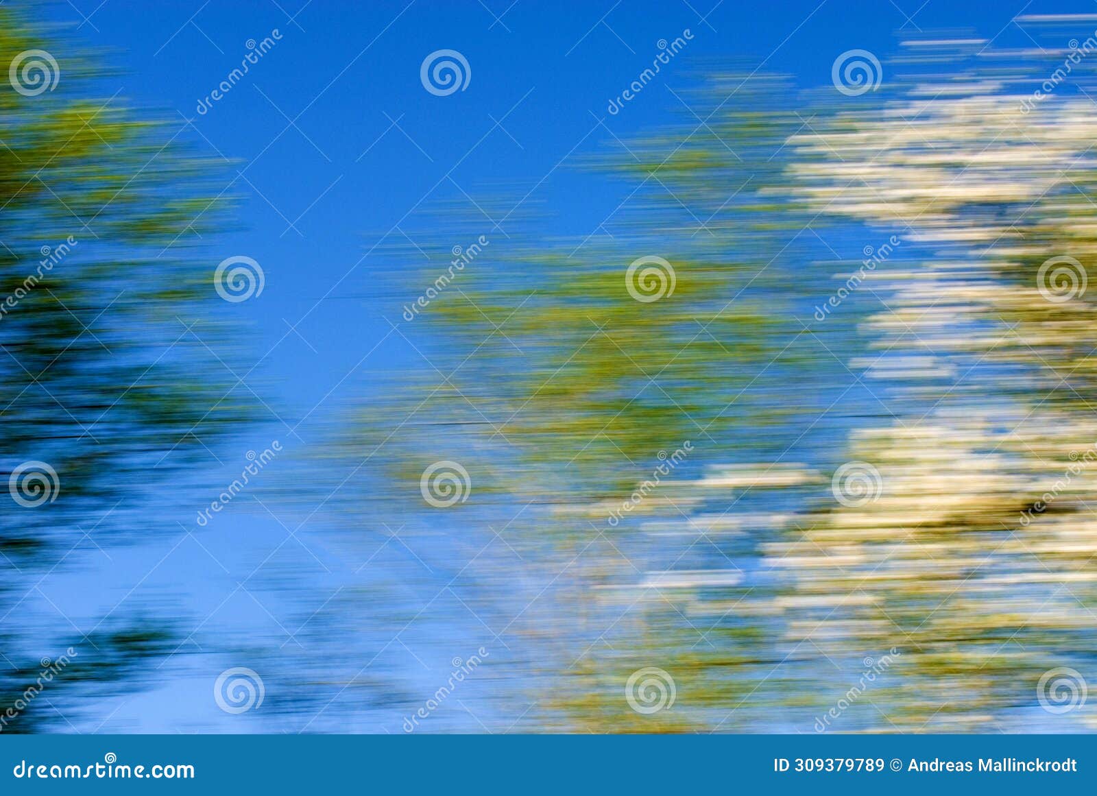 Shrubs and Trees in Spring, Motion Blur Stock Image - Image of ...
