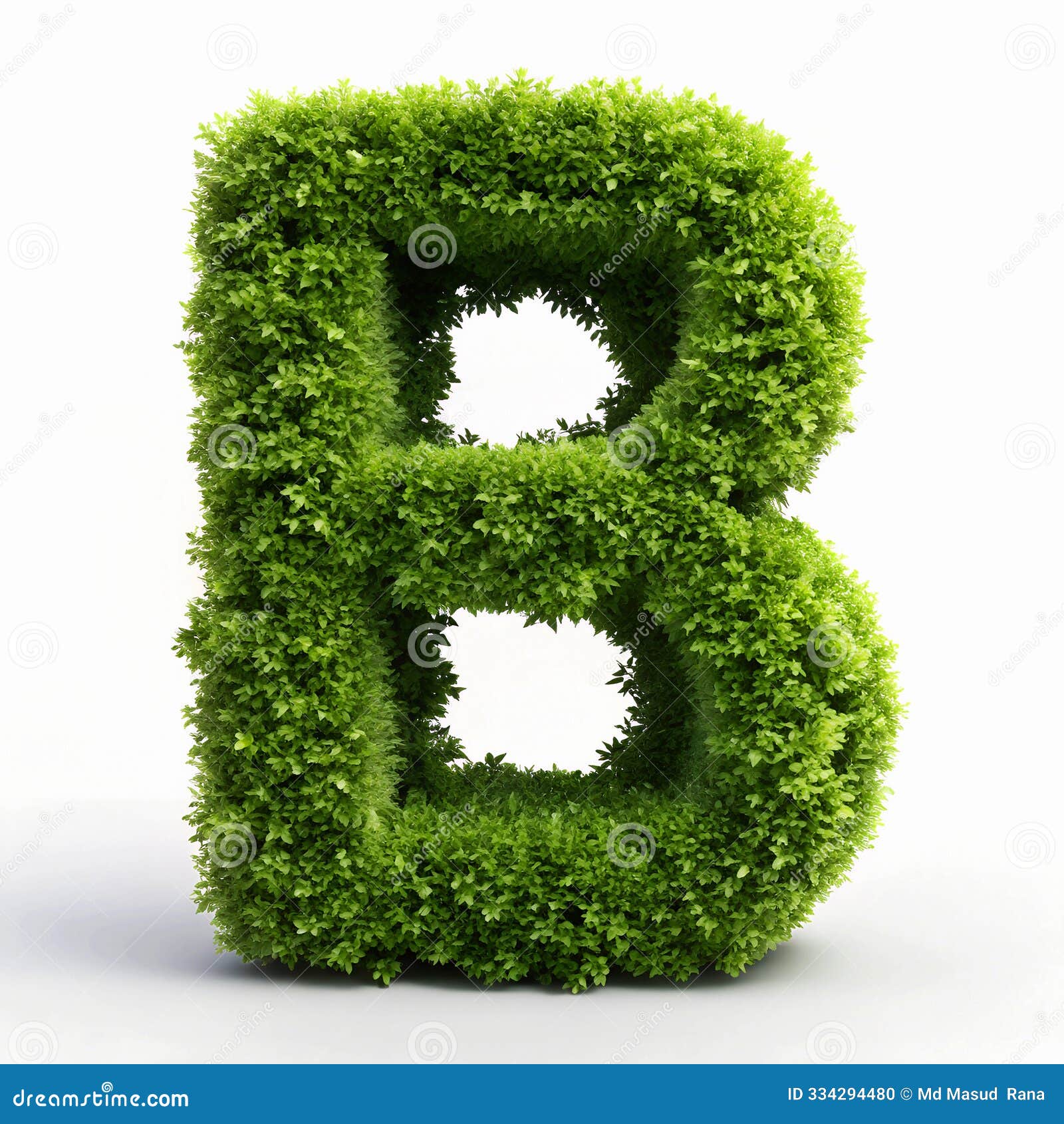 Shrubs Trimmed into Alphabet B Isolated on Transparent and White ...