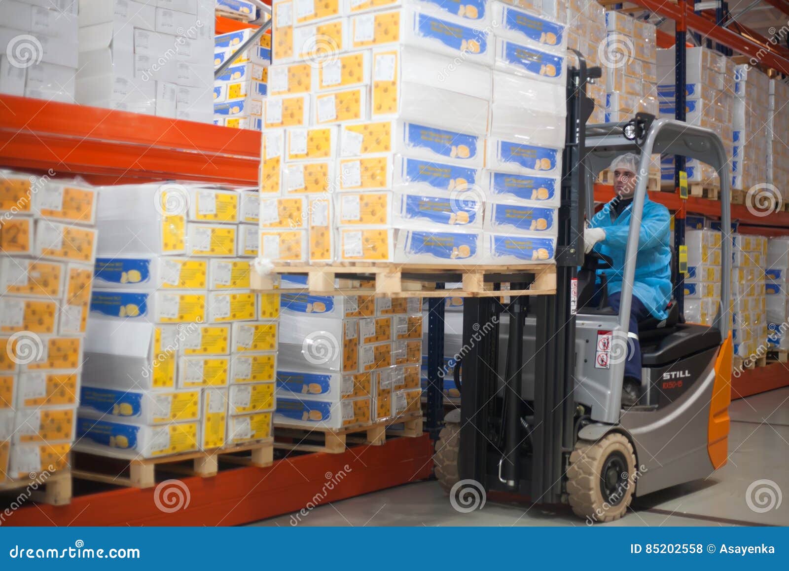 SHUCHIN, BELARUS - JANUARY 26, 2015. Worker Driver of a Forklift Loader ...