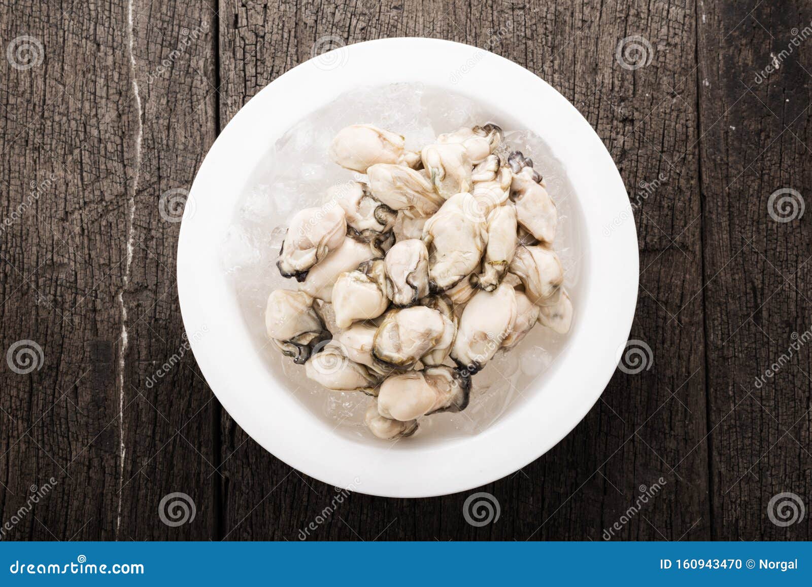 Shucked fresh oysters stock photo. Image of shuck, uncooked - 160943470