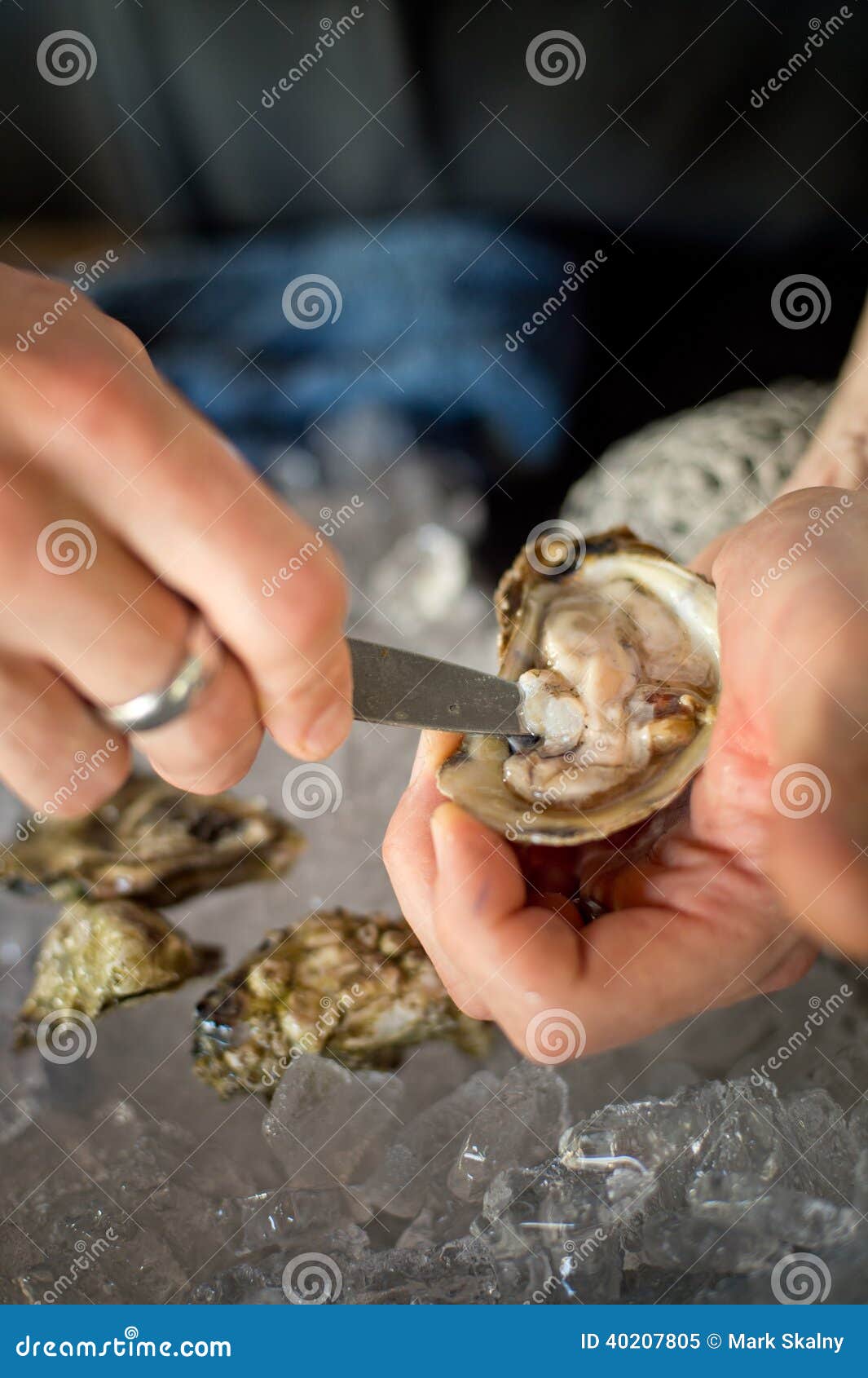 Shucking oysters stock image. Image of table, seafood - 40207805