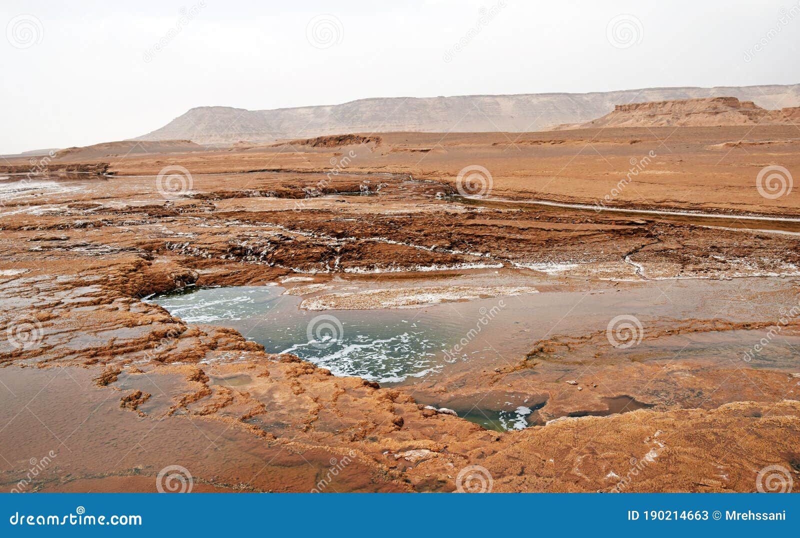 Landscape of Shur River in Lut Desert , Kerman , Iran Stock Image ...