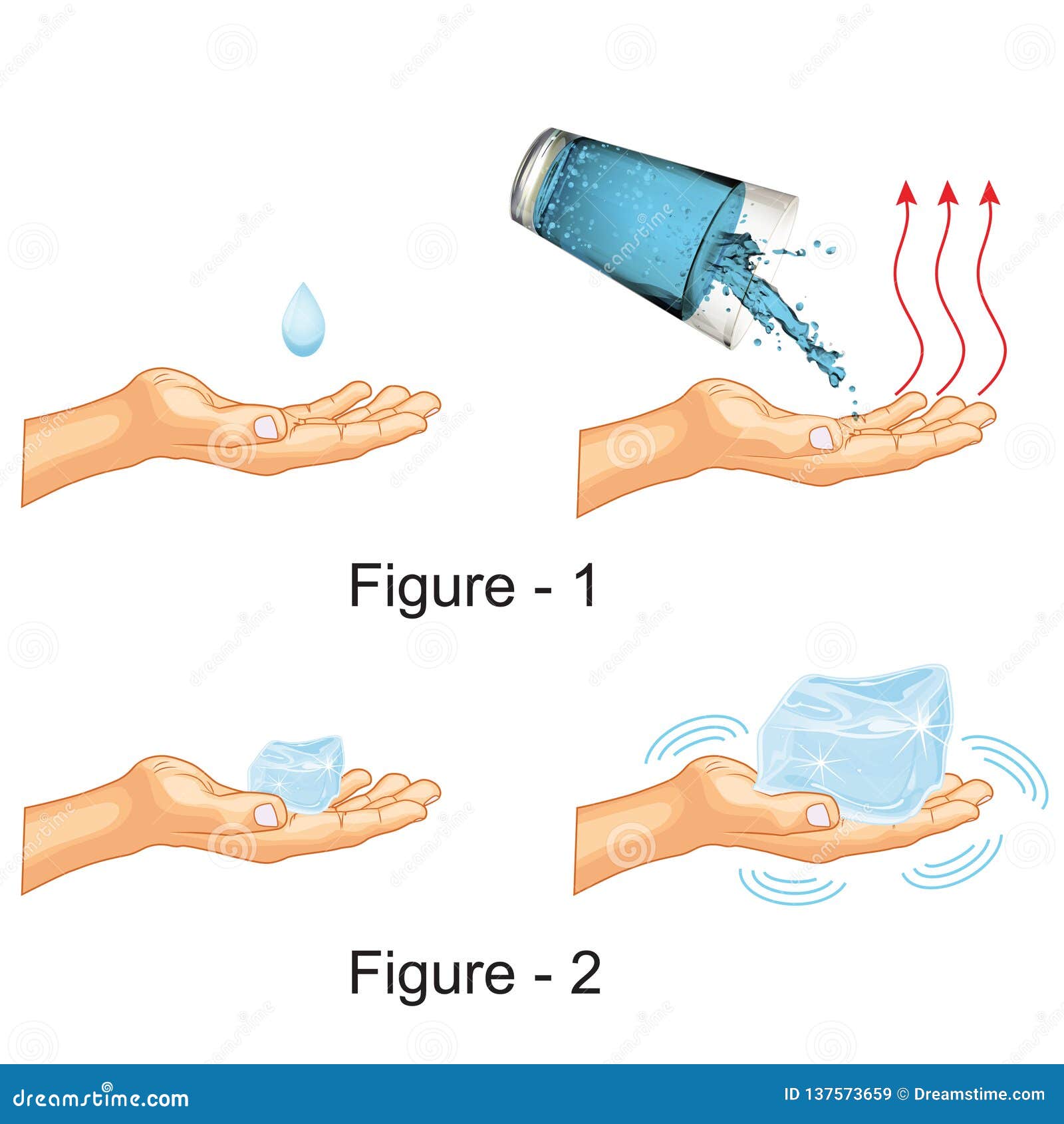 Boiling And Evaporation, Freezing And Melting Points Of Water Cartoon ...